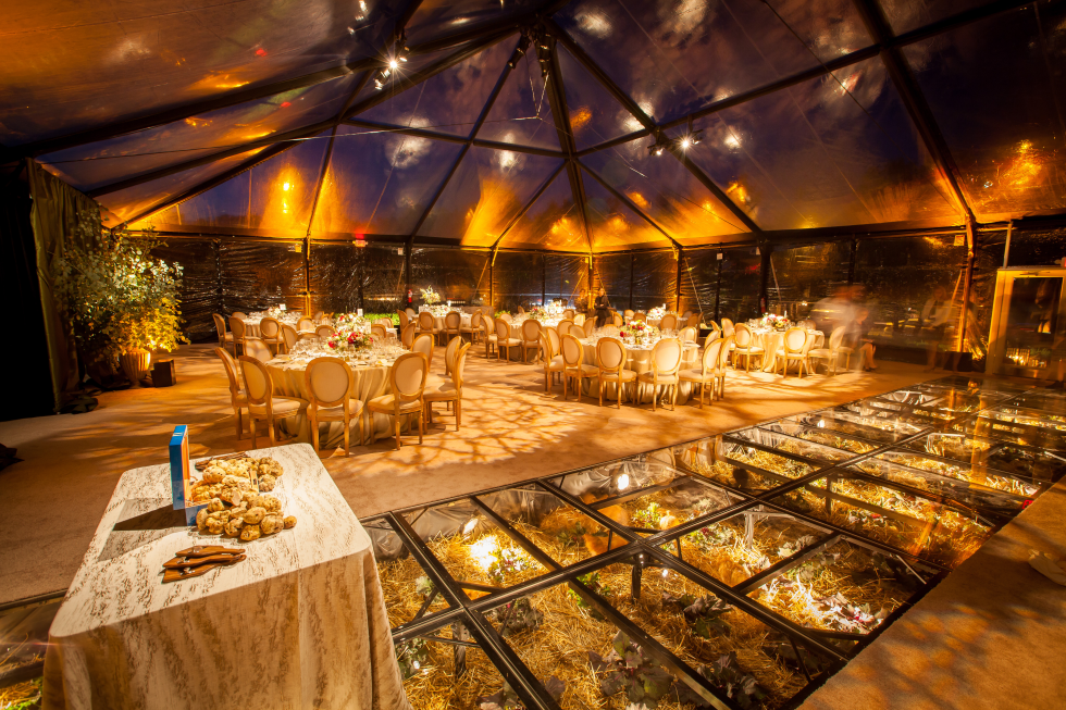 BRIGHT EVENT RENTALS - Phoenix AZ - Hours, Directions, Reviews - Loc8NearMe