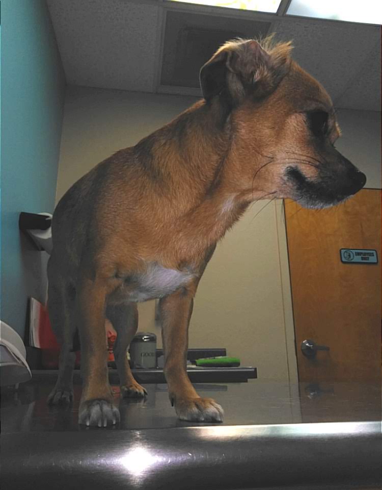 ABC VACCINATION CLINIC - Tucson AZ - Hours, Directions, Reviews ...