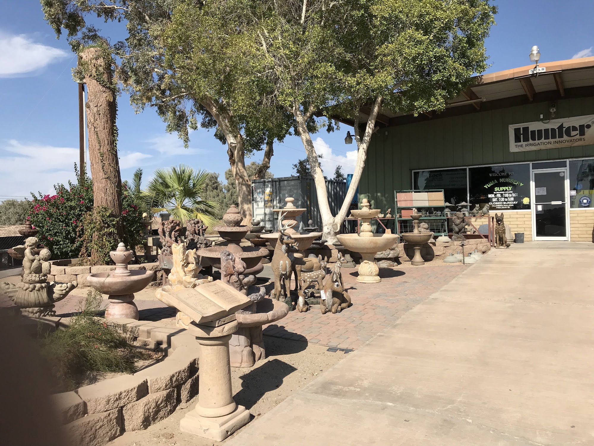 YUMA NURSERY SUPPLY - PLANTS, STORAGE CONTAINERS & MORE - Yuma AZ ...