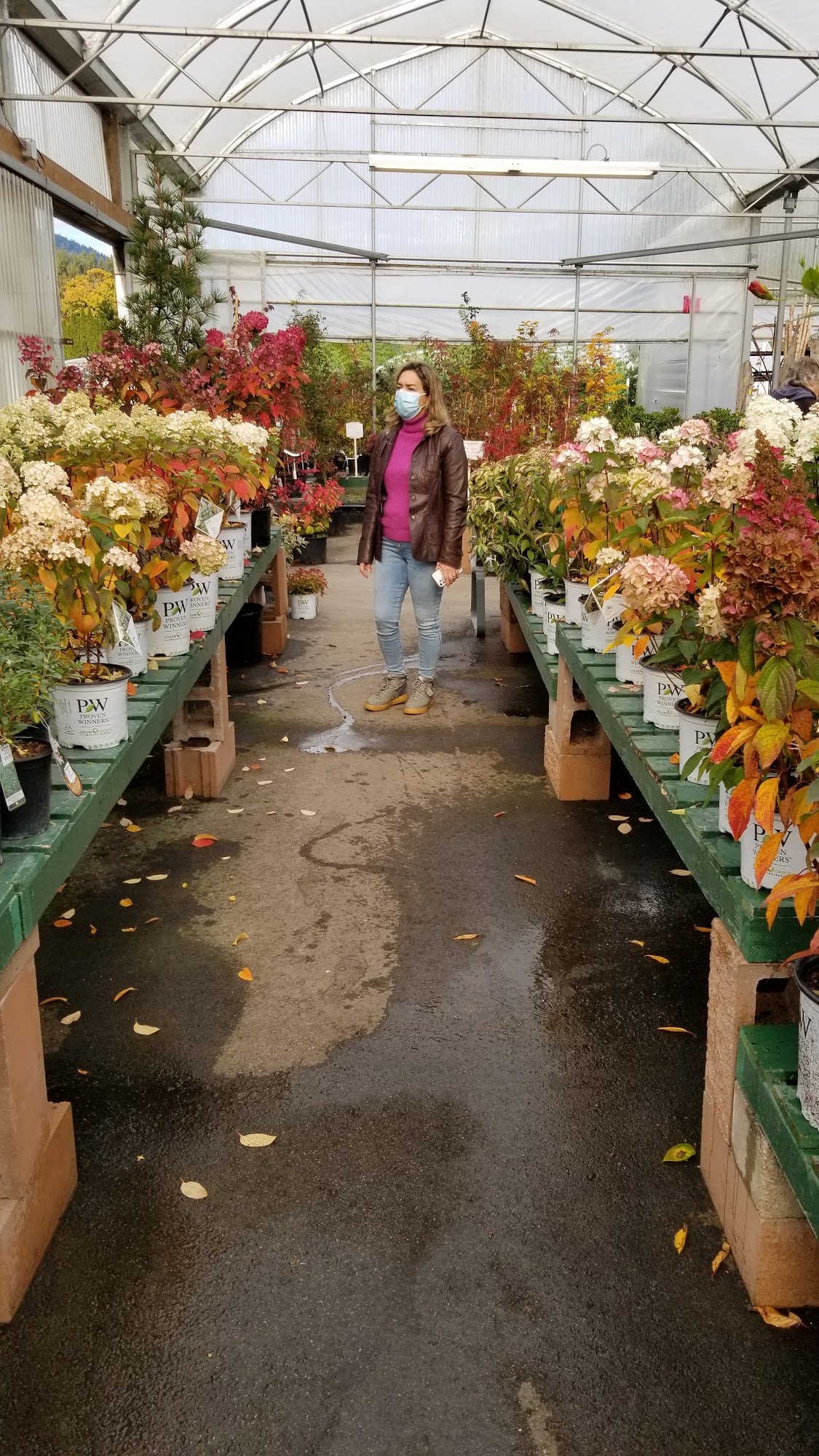 MINTER COUNTRY GARDEN - GARDEN CENTRE & FLORIST - Chilliwack BC - Hours ...