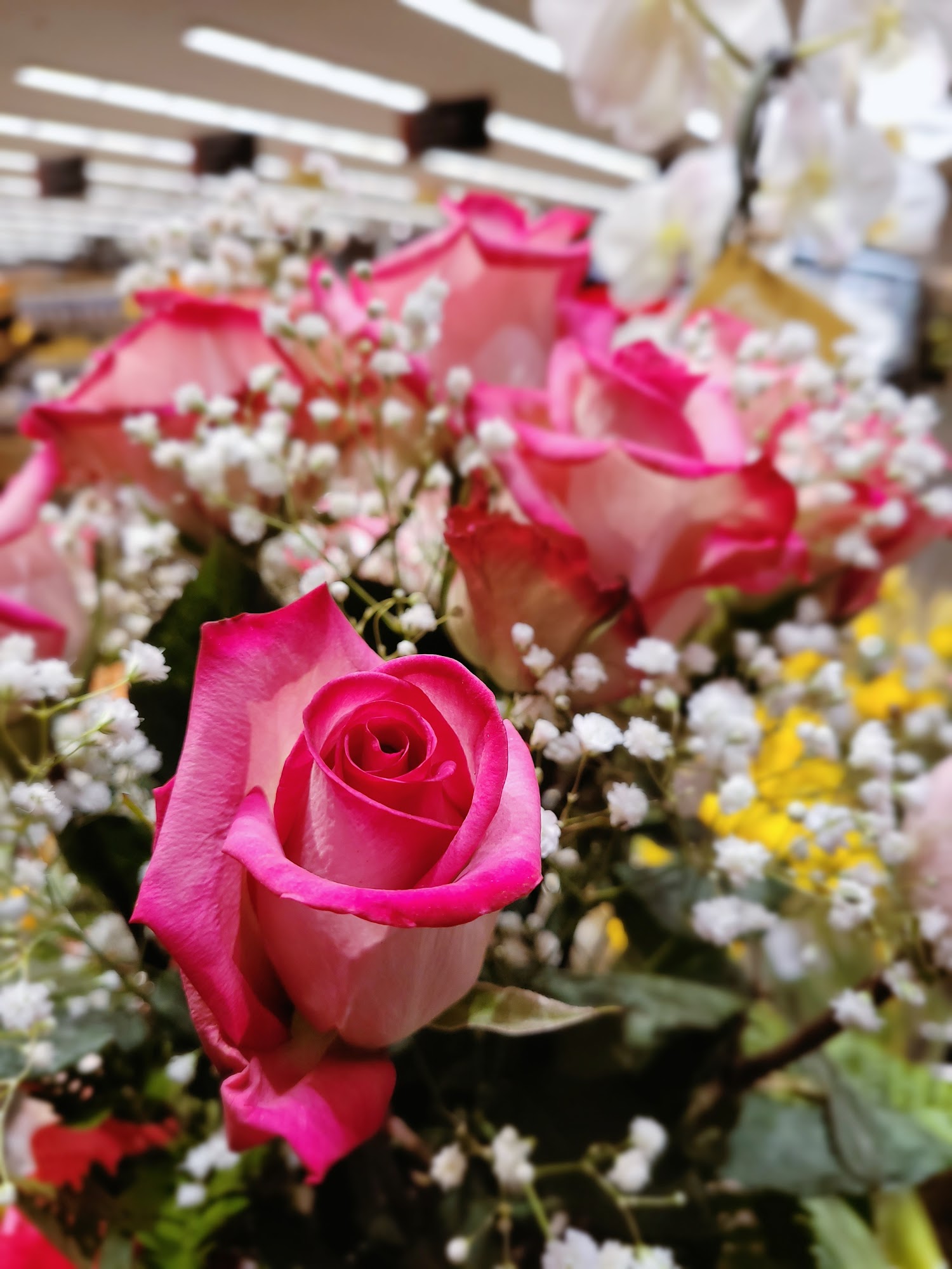 SAFEWAY SUNSHINE HILLS - 6401 120 St, Delta BC - Hours, Directions ...