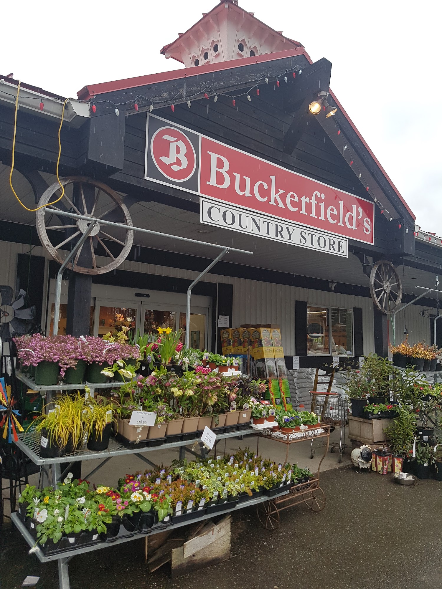 BUCKERFIELD'S PARKSVILLE - Parksville BC - Hours, Directions, Reviews ...