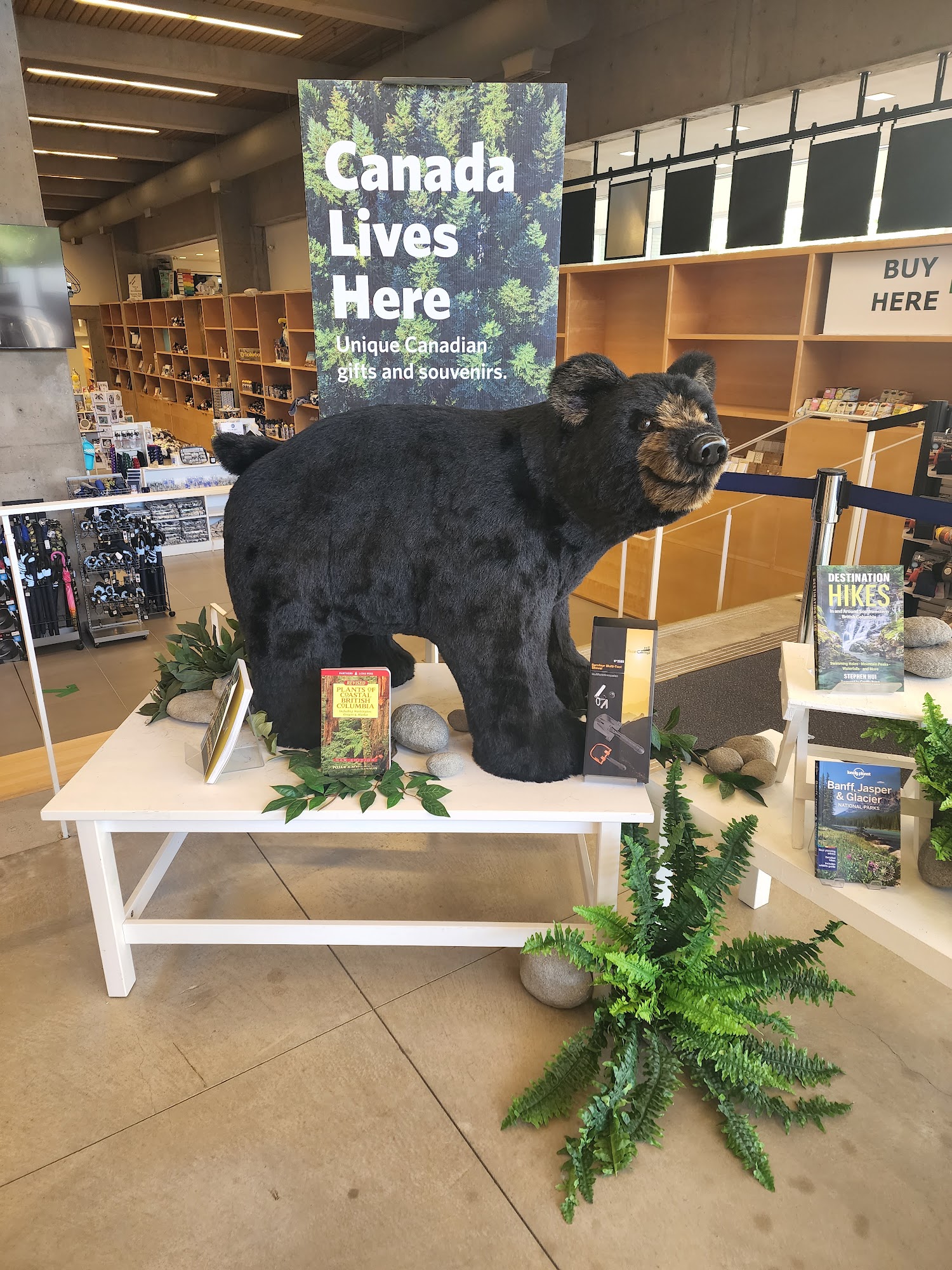 UBC BOOKSTORE - Vancouver BC - Hours, Directions, Reviews - Loc8NearMe