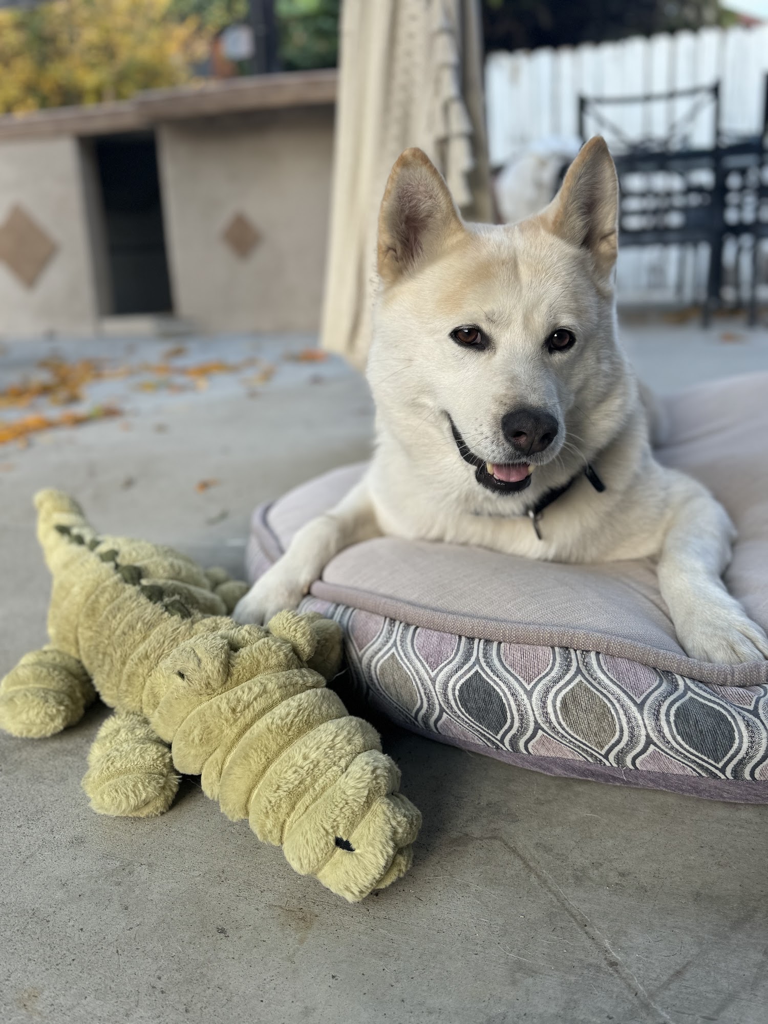 CORONA ANIMAL SHELTER - Corona CA - Hours, Directions, Reviews - Loc8NearMe