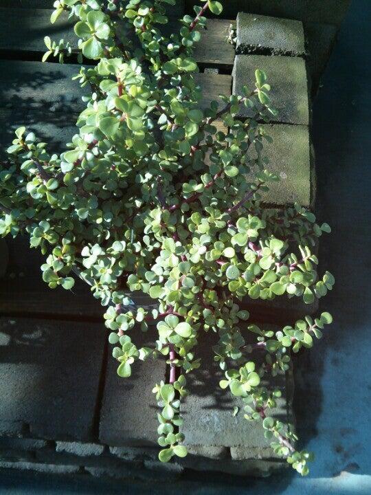 THE HOME DEPOT - 4641 Florin Rd, Sacramento CA - Hours, Directions ...