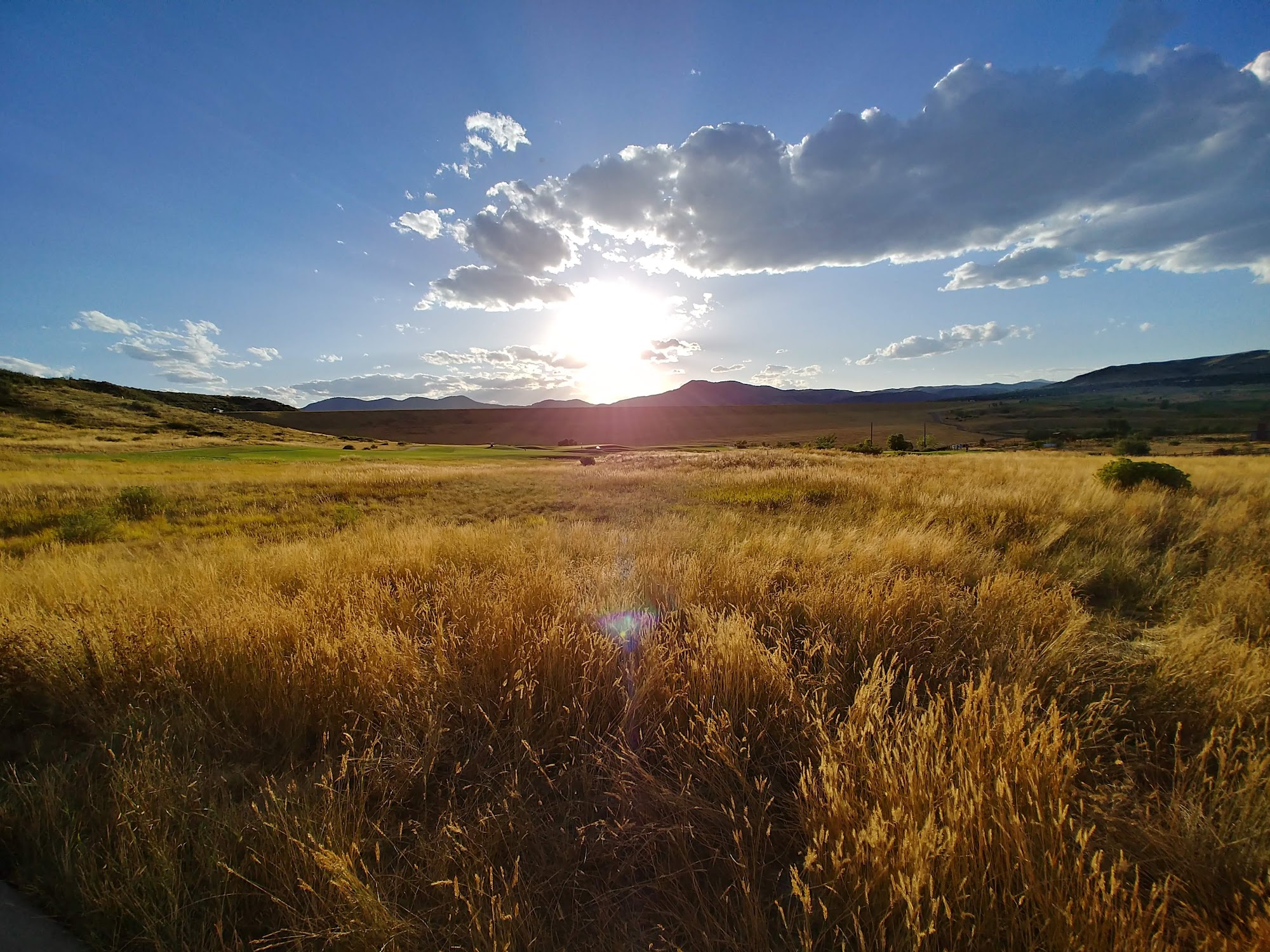 THE HOMESTEAD GOLF COURSE - Lakewood CO - Hours, Directions, Reviews ...