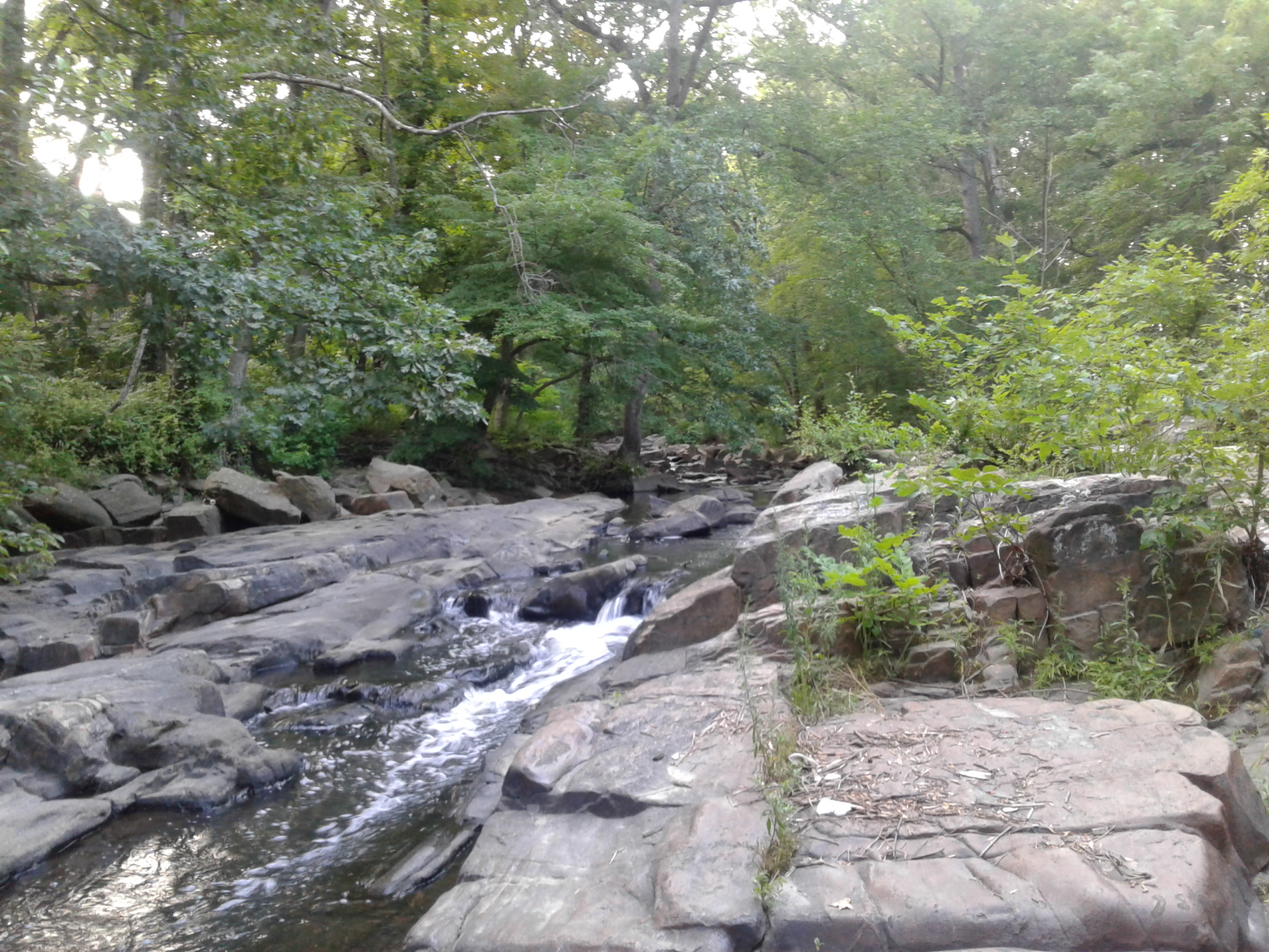 CANBY PARK - Wilmington DE - Hours, Directions, Reviews - Loc8NearMe