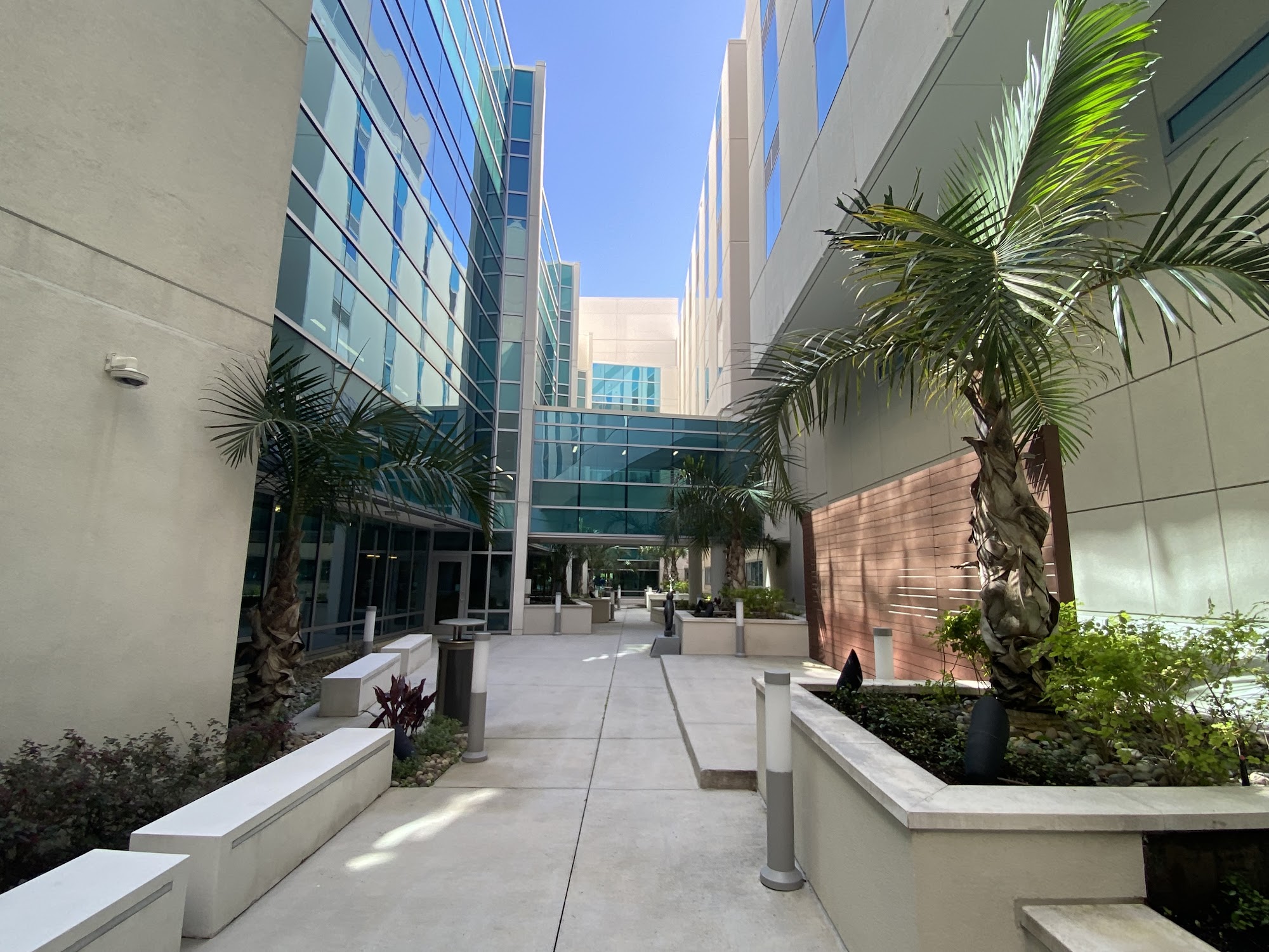 MORTON PLANT HOSPITAL - Clearwater FL - Hours, Directions, Reviews ...