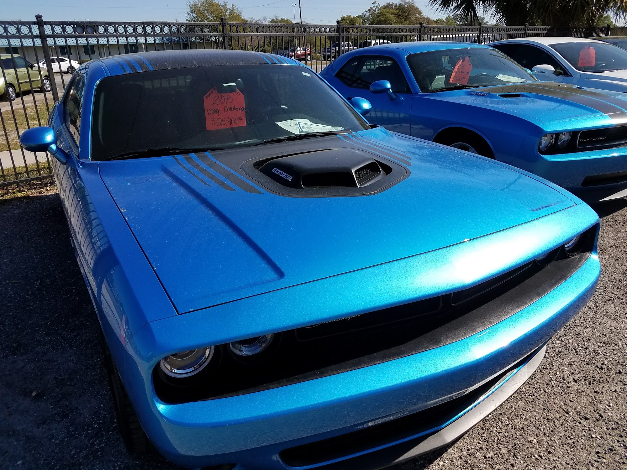 CU AUTO BRANCH - Tampa FL - Hours, Directions, Reviews - Loc8NearMe