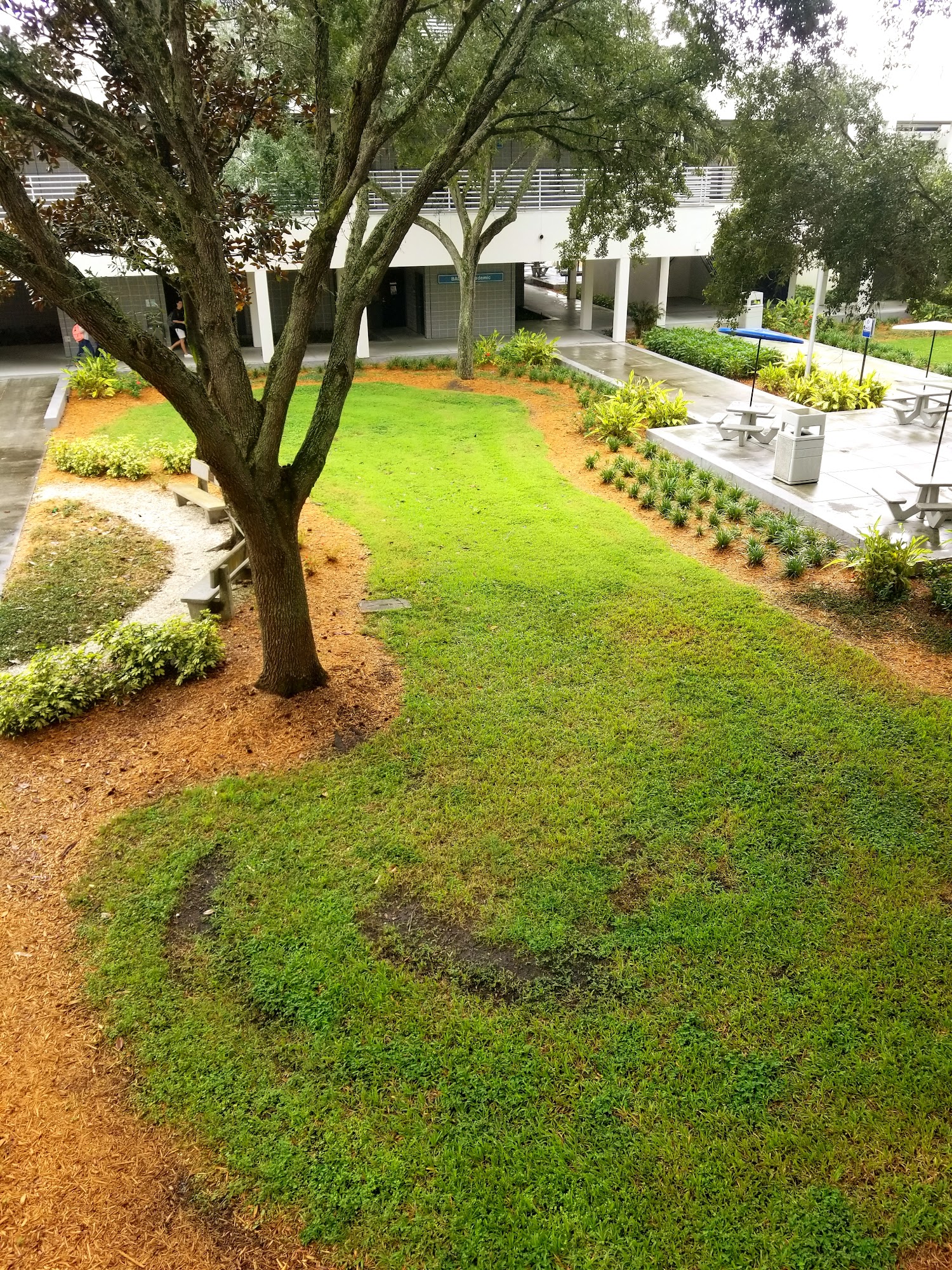 HILLSBOROUGH COMMUNITY COLLEGE - BRANDON CAMPUS - Tampa FL - Hours ...