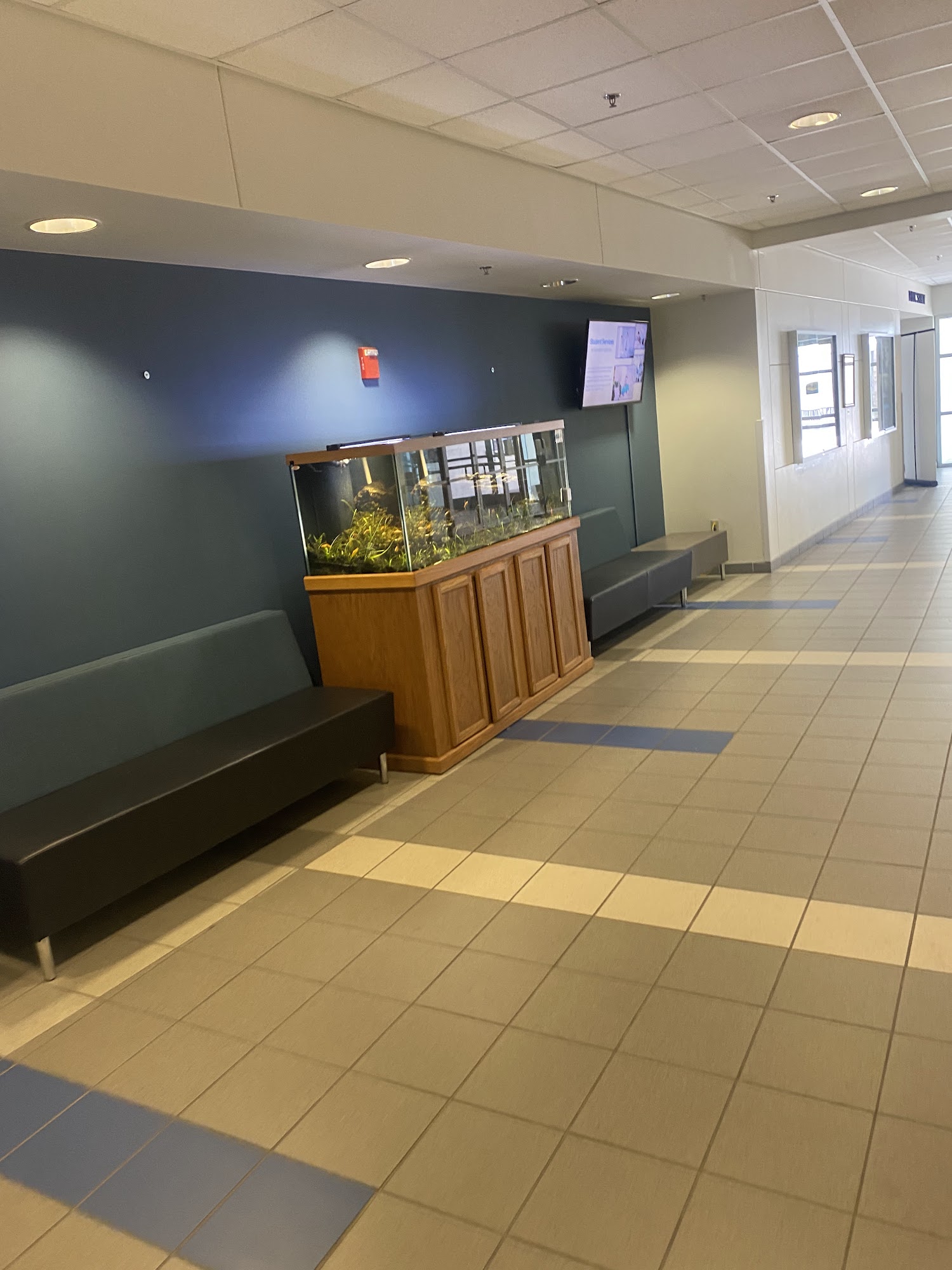 HILLSBOROUGH COMMUNITY COLLEGE - BRANDON CAMPUS - Tampa FL - Hours ...