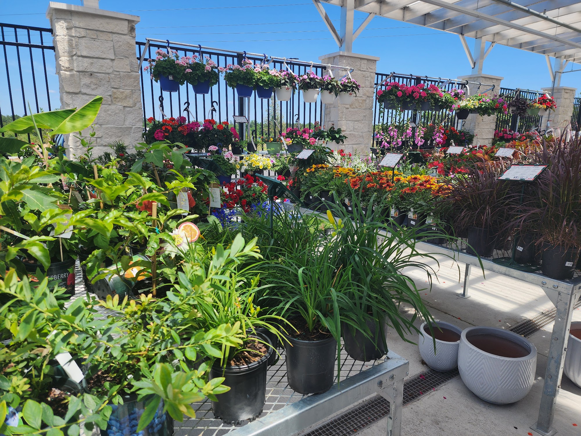 TOOLE'S ACE HARDWARE OF HAMLIN - Winter Garden FL - Hours, Directions ...