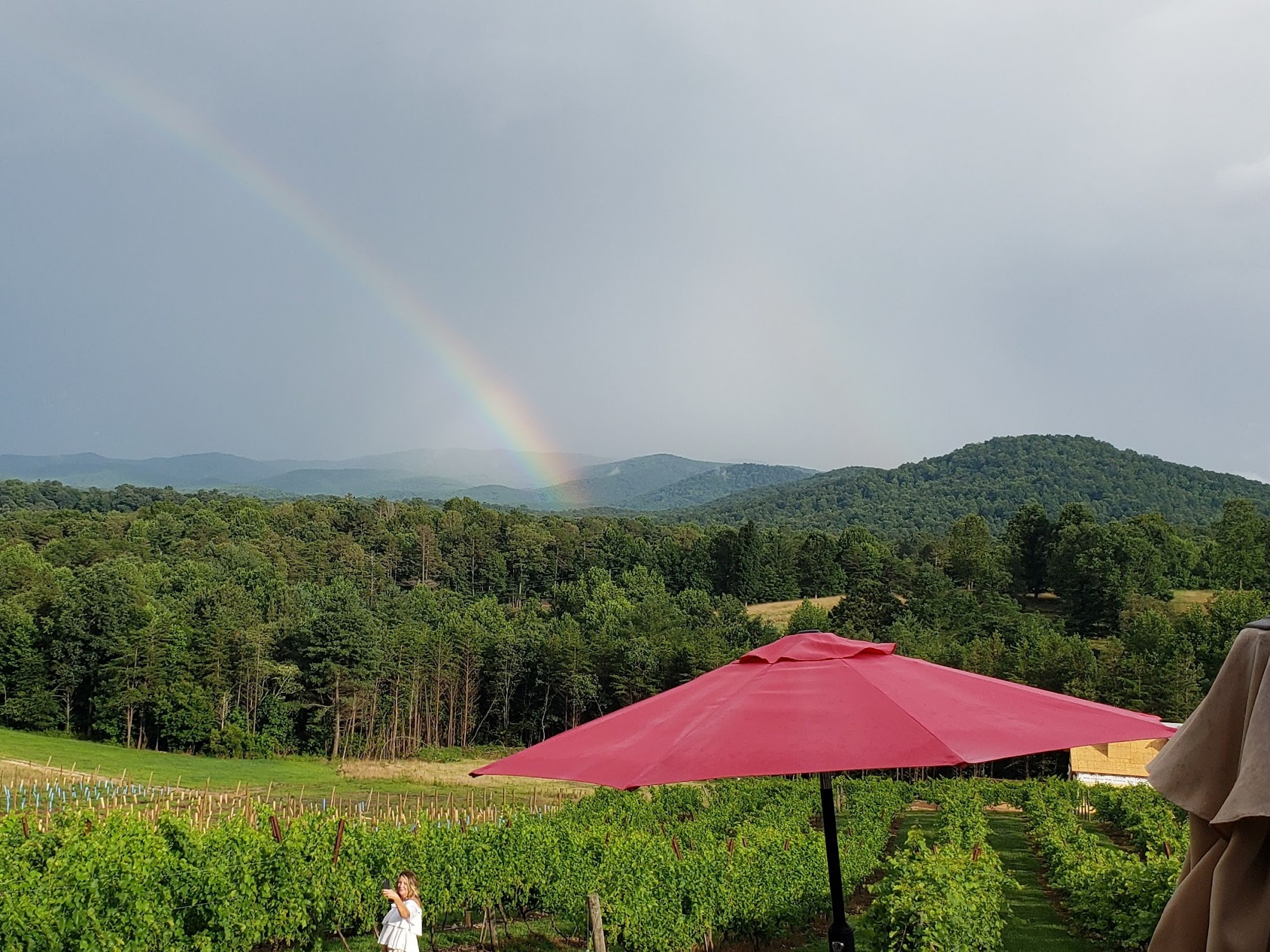 OTT FARMS AND VINEYARD - Ellijay GA - Hours, Directions, Reviews ...