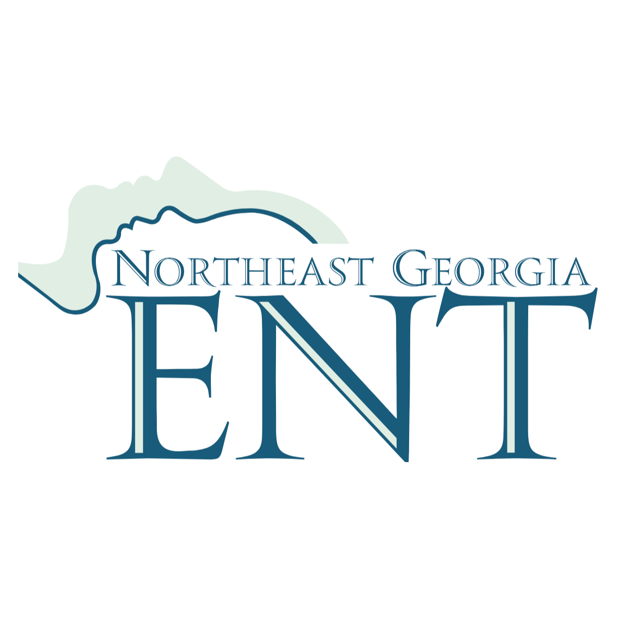 NORTHEAST GEORGIA ENT - Gainesville GA - Hours, Directions, Reviews ...