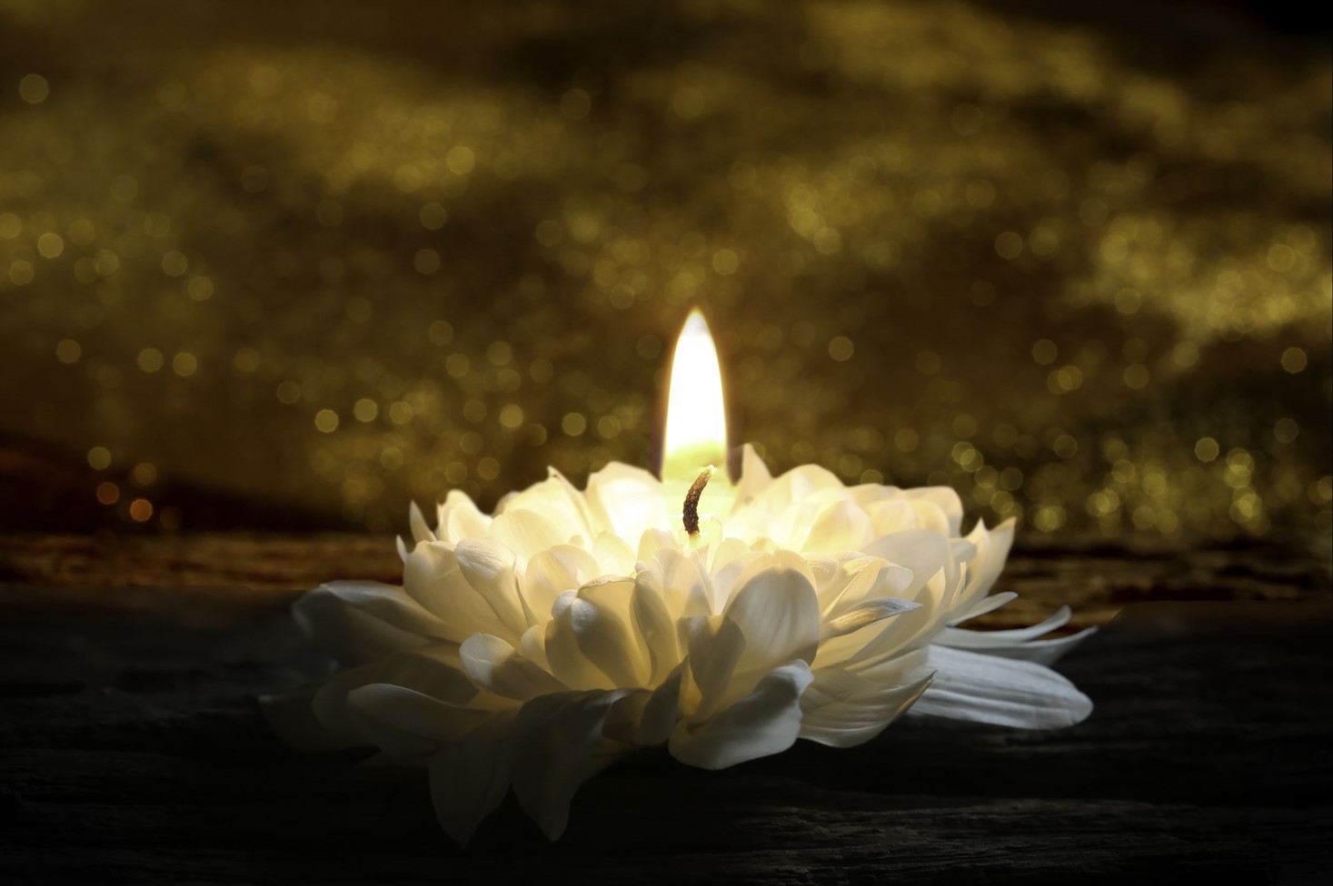 SHERRELL-WESTBURY FUNERAL HOME - Jackson GA - Hours, Directions ...