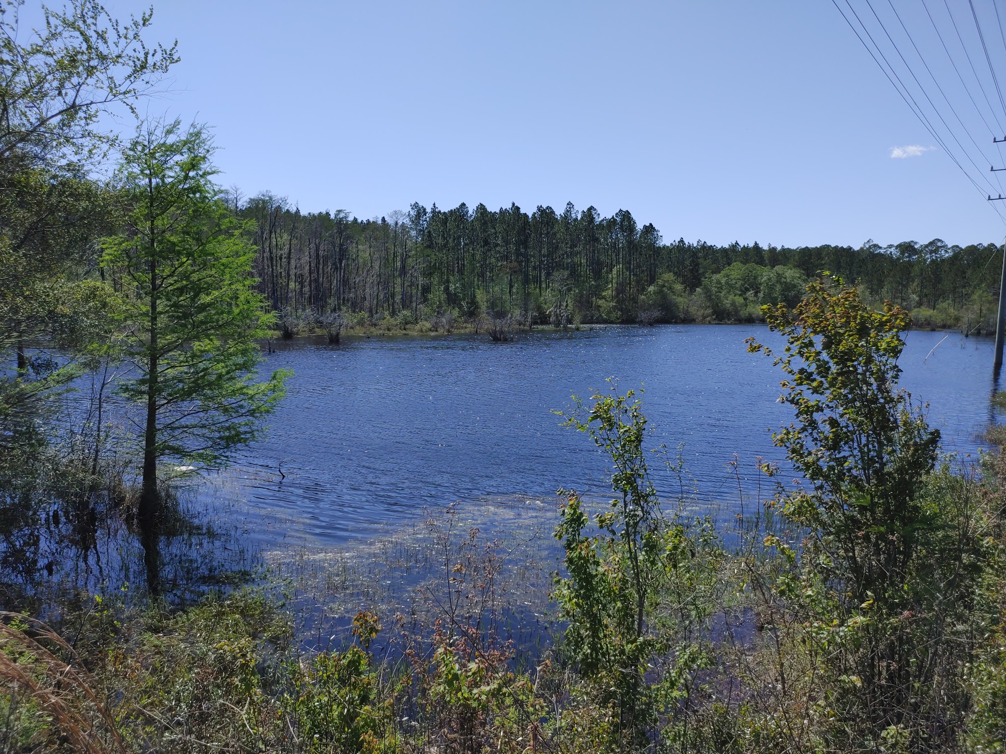 ST GEORGE BOAT RAMP - Saint George GA - Hours, Directions, Reviews ...