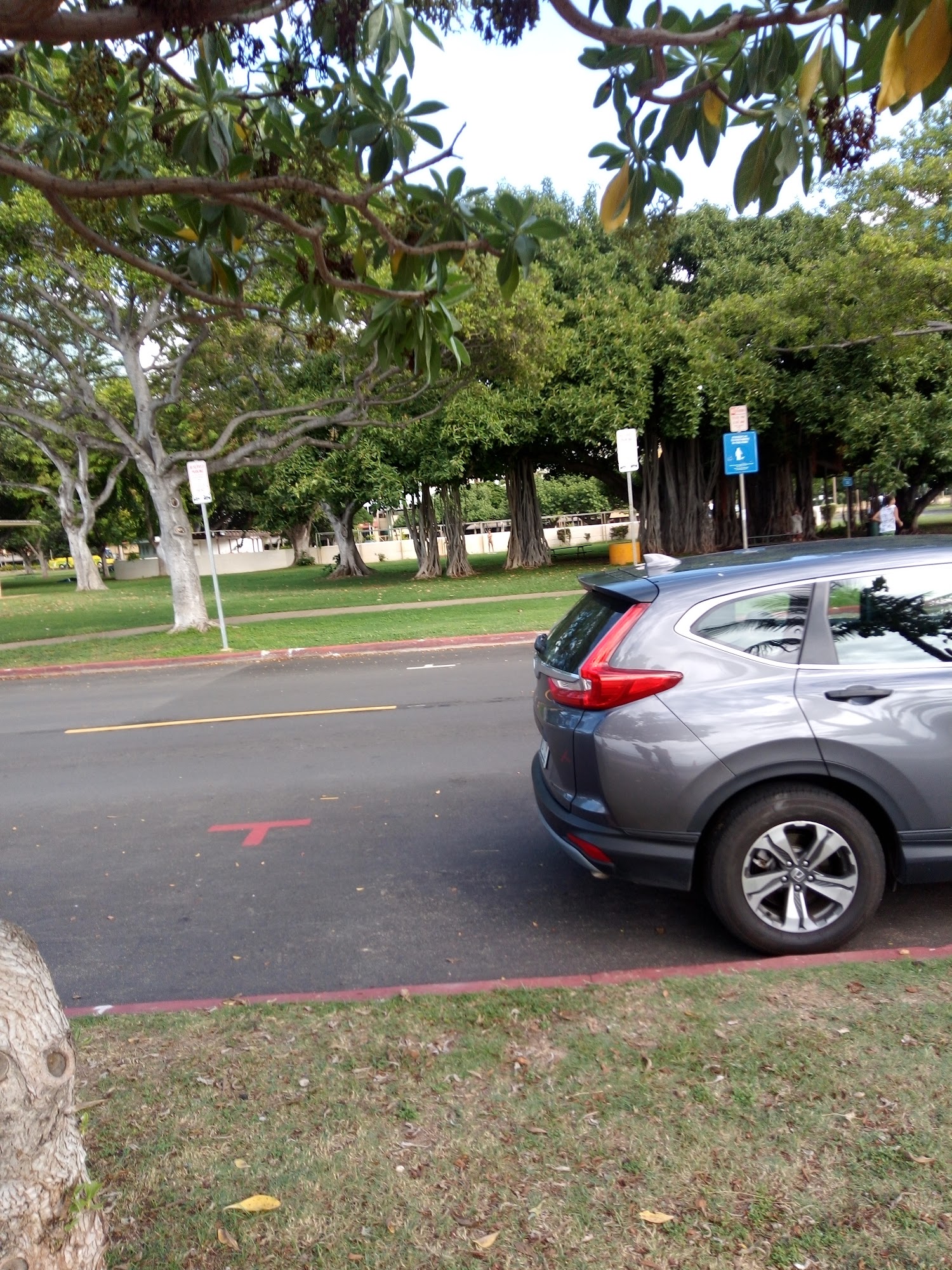 HONOLULU VEHICLE PROCESSING CENTER VPC - Honolulu HI - Hours ...