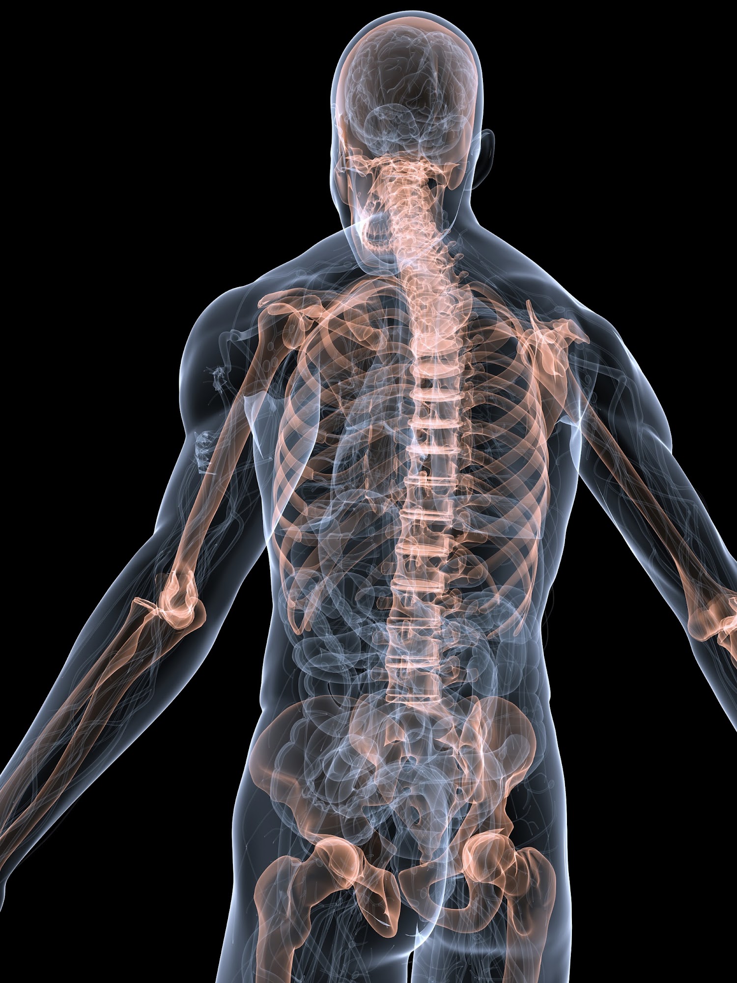 PREFERRED IMAGING CENTERS - Chicago IL - Hours, Directions, Reviews ...