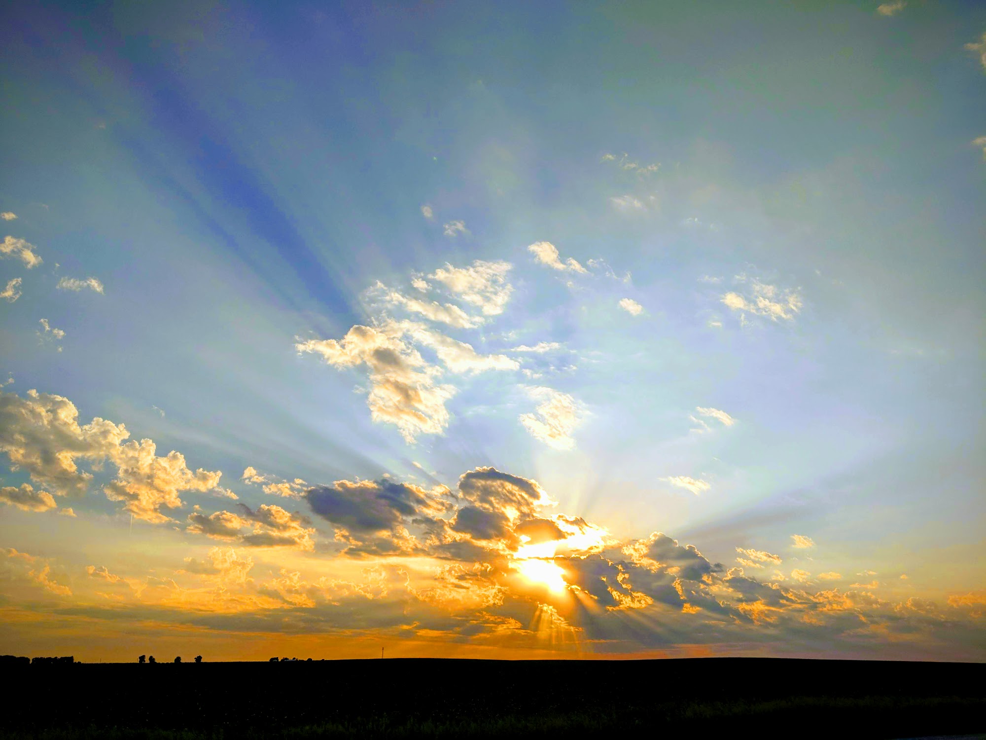 MAPLEHURST FARMS, INC. - Rochelle IL - Hours, Directions, Reviews ...