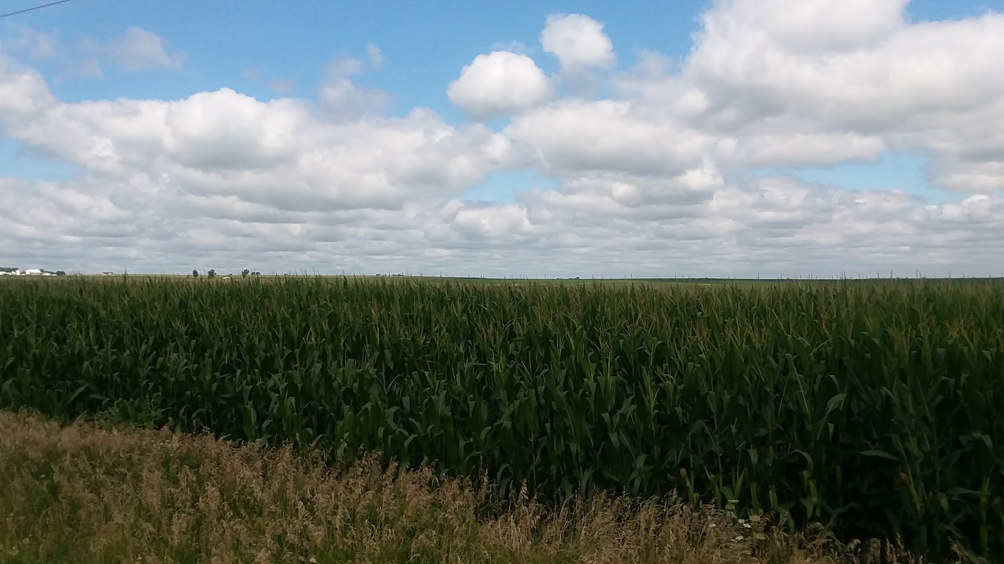 MAPLEHURST FARMS, INC. - Rochelle IL - Hours, Directions, Reviews ...