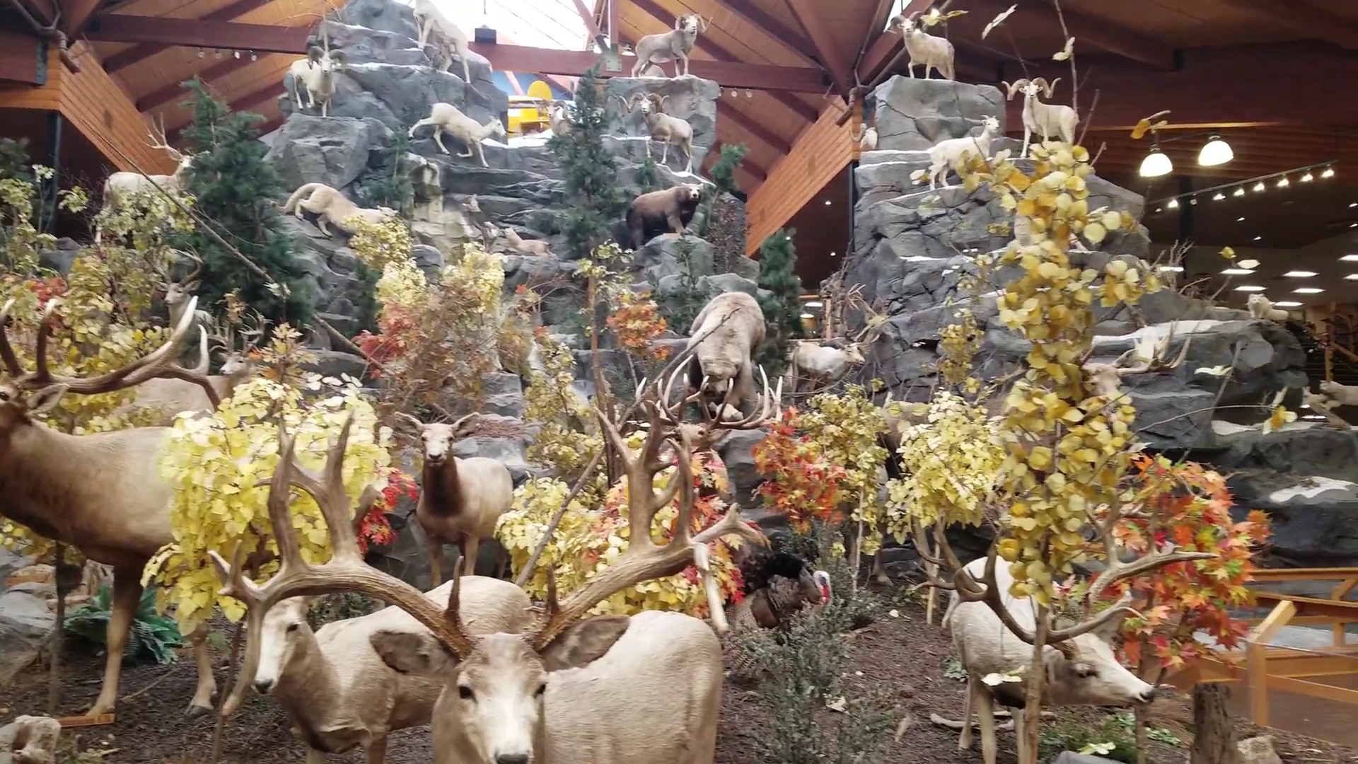 BASS PRO SHOPS - 10300 Cabela Dr, Kansas City KS - Hours, Directions ...