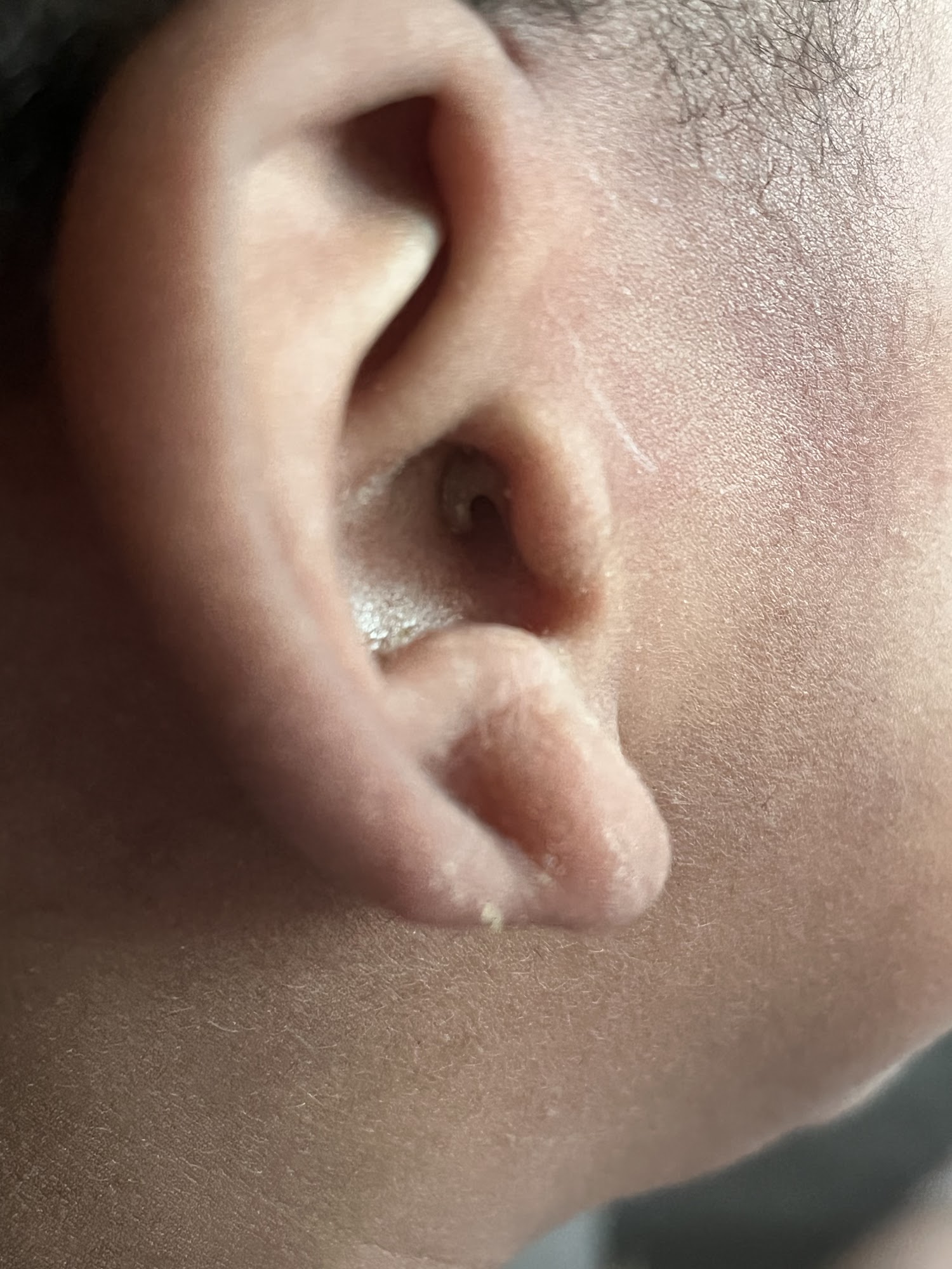 LAKE AFTER HOURS - PERKINS - Baton Rouge LA - Hours, Directions ...