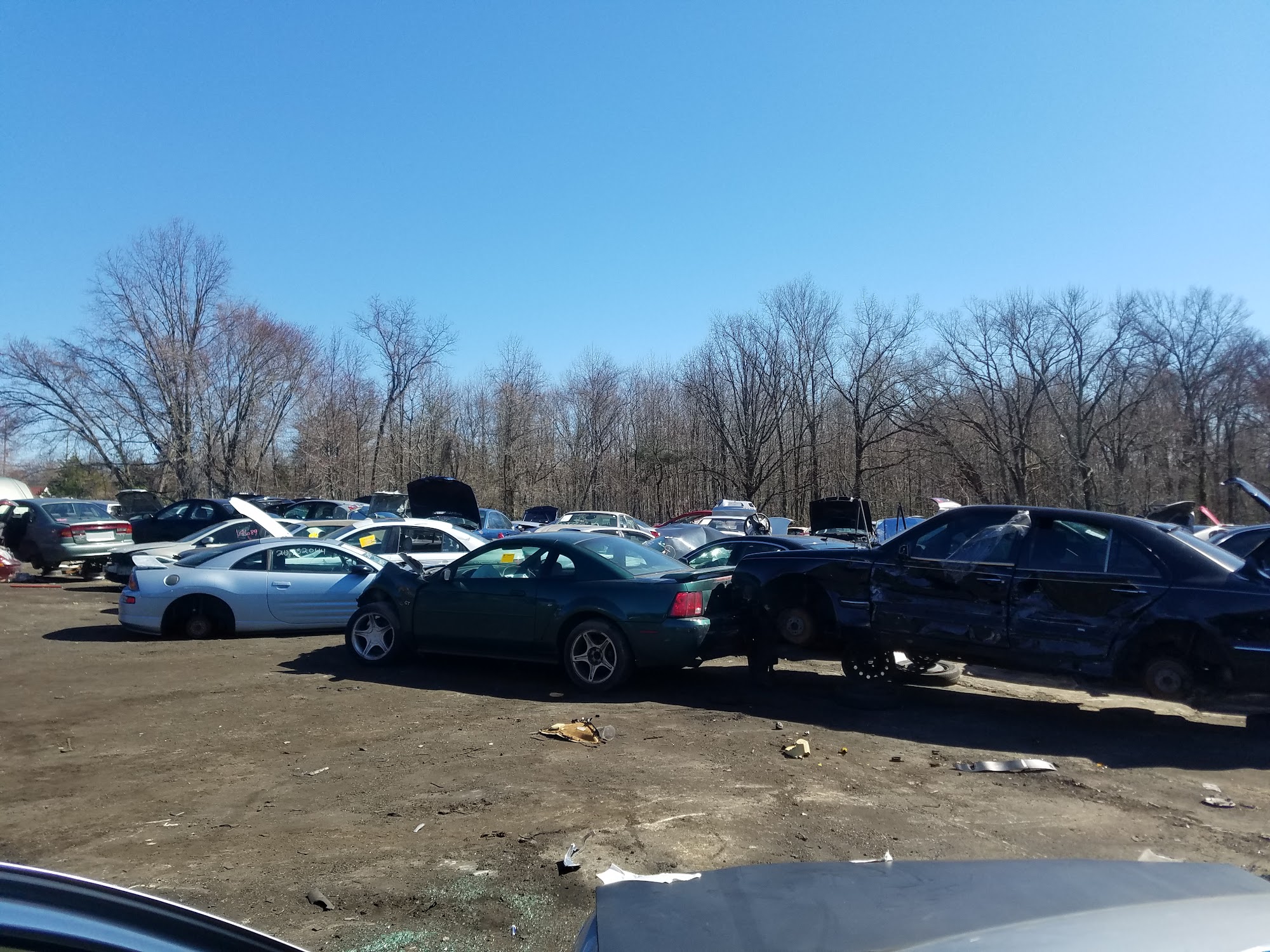 FRIENDLY AUTO PARTS - Fort Washington MD - Hours, Directions, Reviews ...