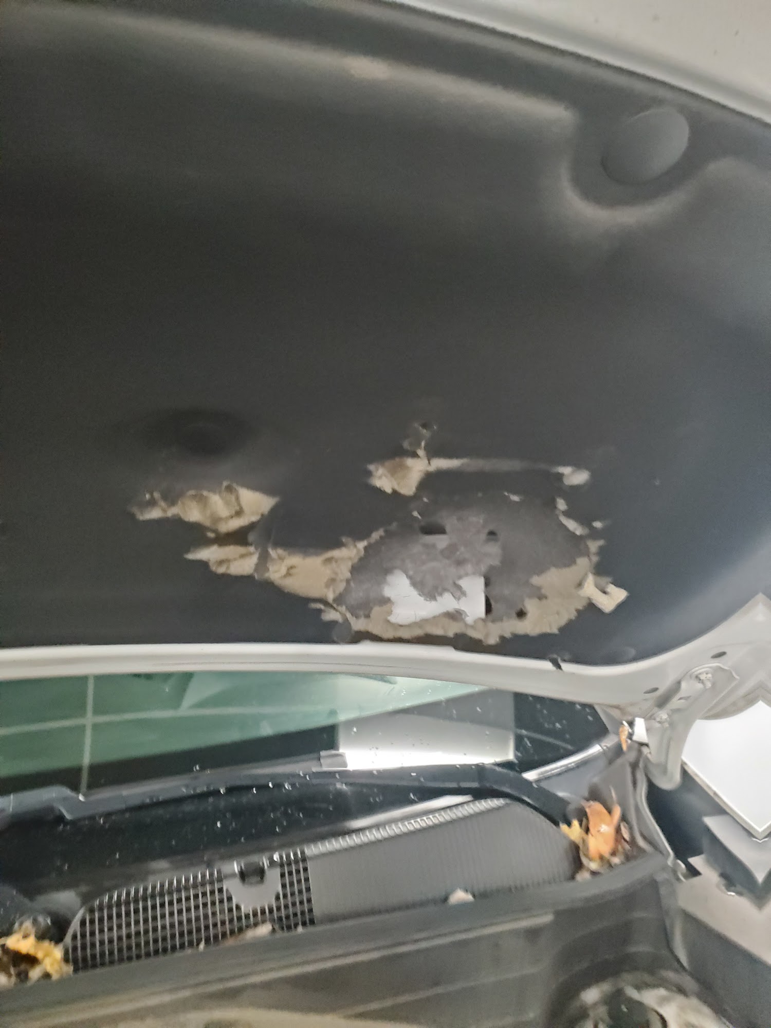 JAMES-MARTIN CHEVROLET, INC. - Detroit MI - Hours, Directions, Reviews ...