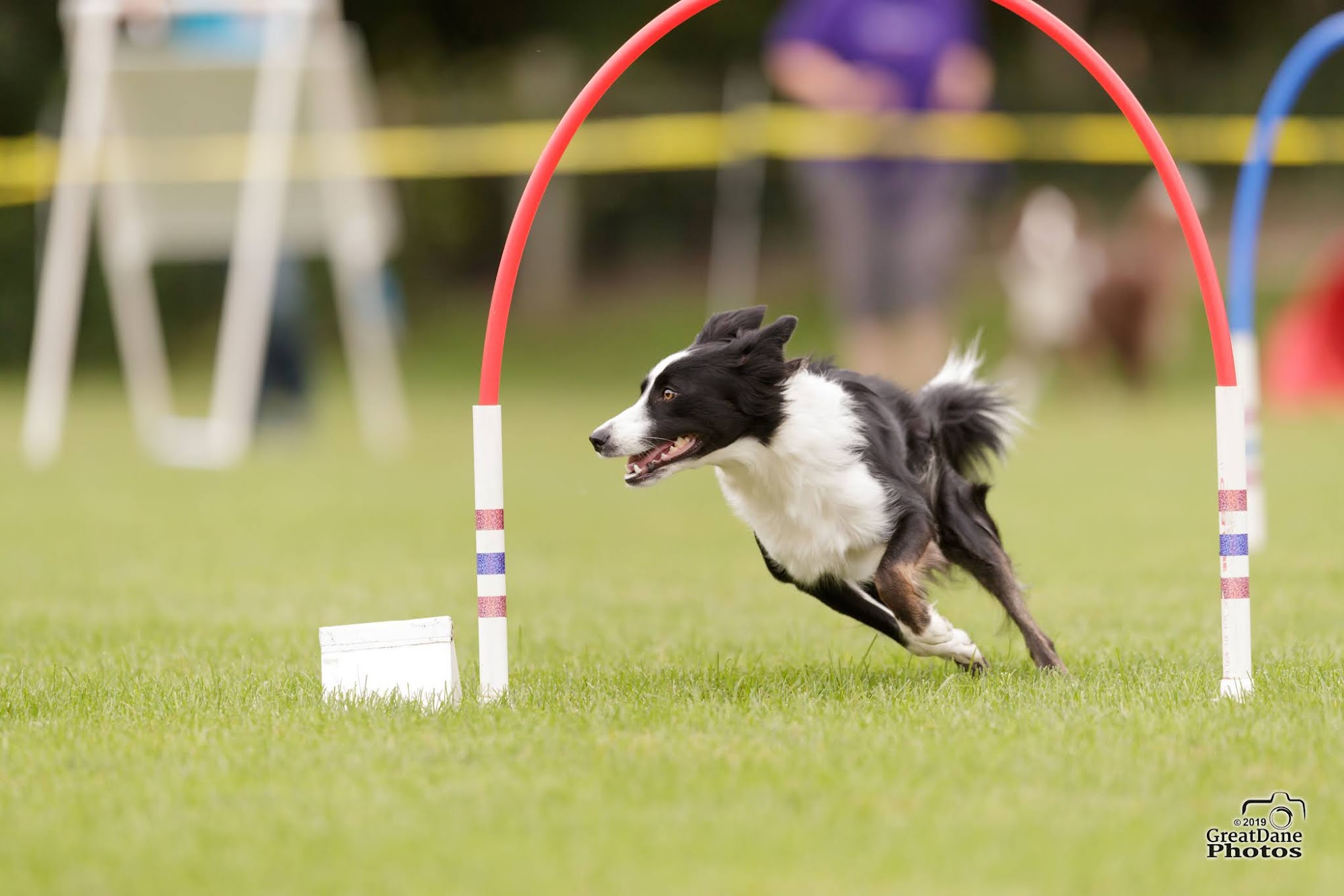 HAPPY CHRYSLER DODGE JEEP RAM OF ROCHESTER (FORMERLY KNOWN AS ADAMSON ...