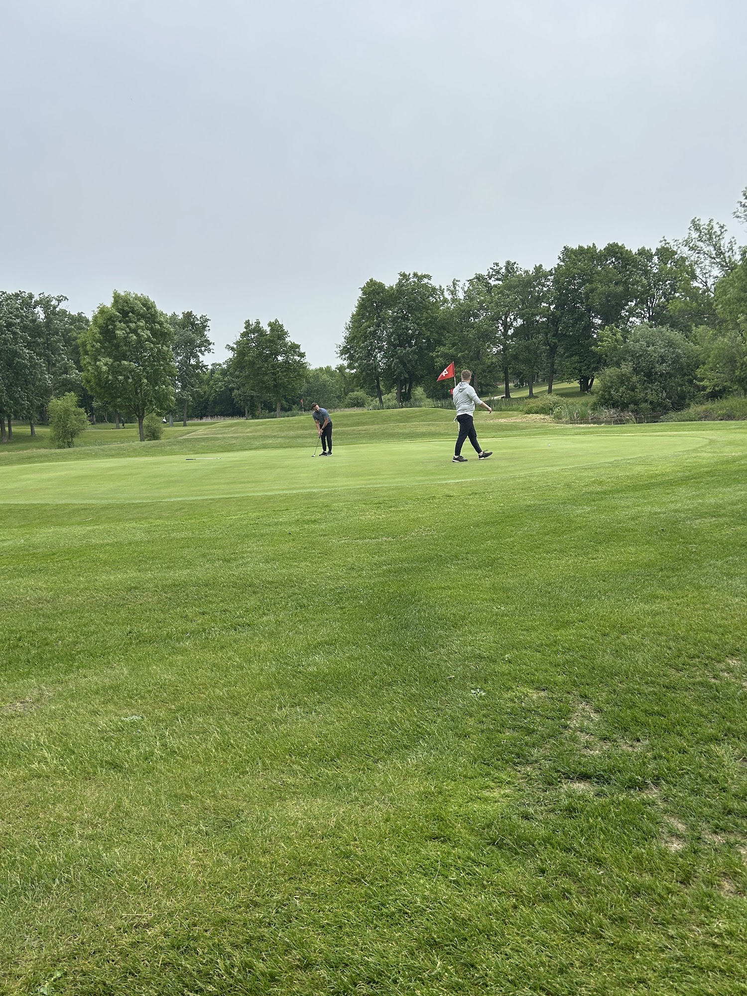 VINTAGE GOLF COURSE - Staples MN - Hours, Directions, Reviews - Loc8NearMe