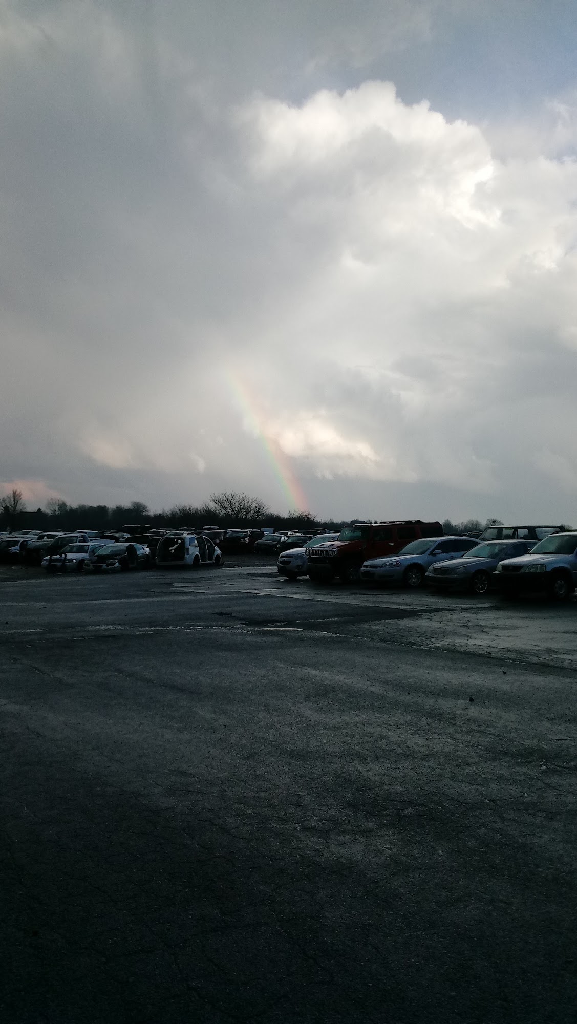 COUNTY LINE AUTO PARTS - Kingsville MO - Hours, Directions, Reviews ...