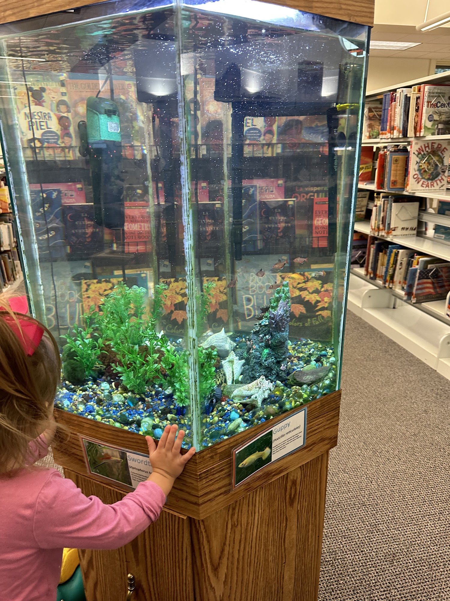 WATAUGA COUNTY PUBLIC LIBRARY - Boone NC - Hours, Directions, Reviews ...