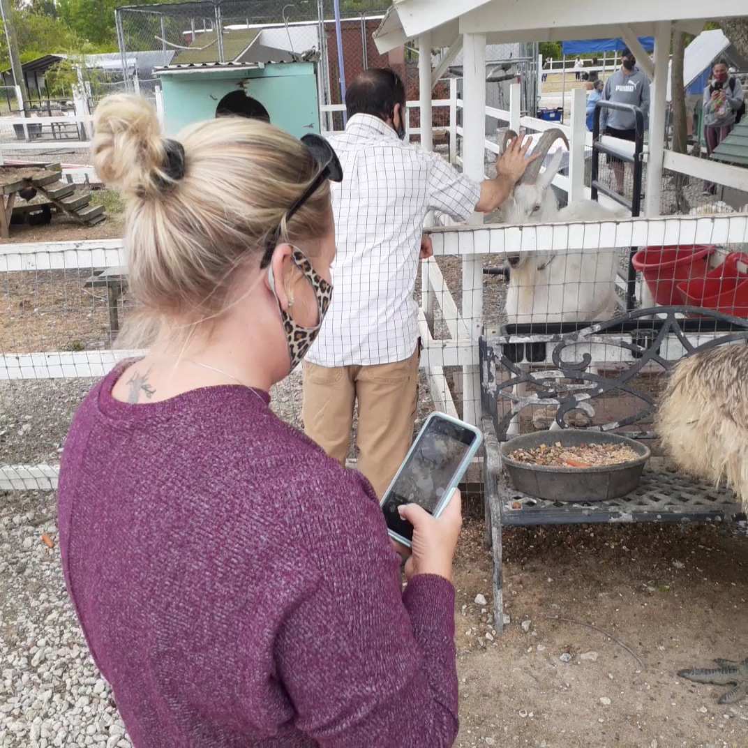 SKYWATCH BIRD RESCUE - Castle Hayne NC - Hours, Directions, Reviews ...