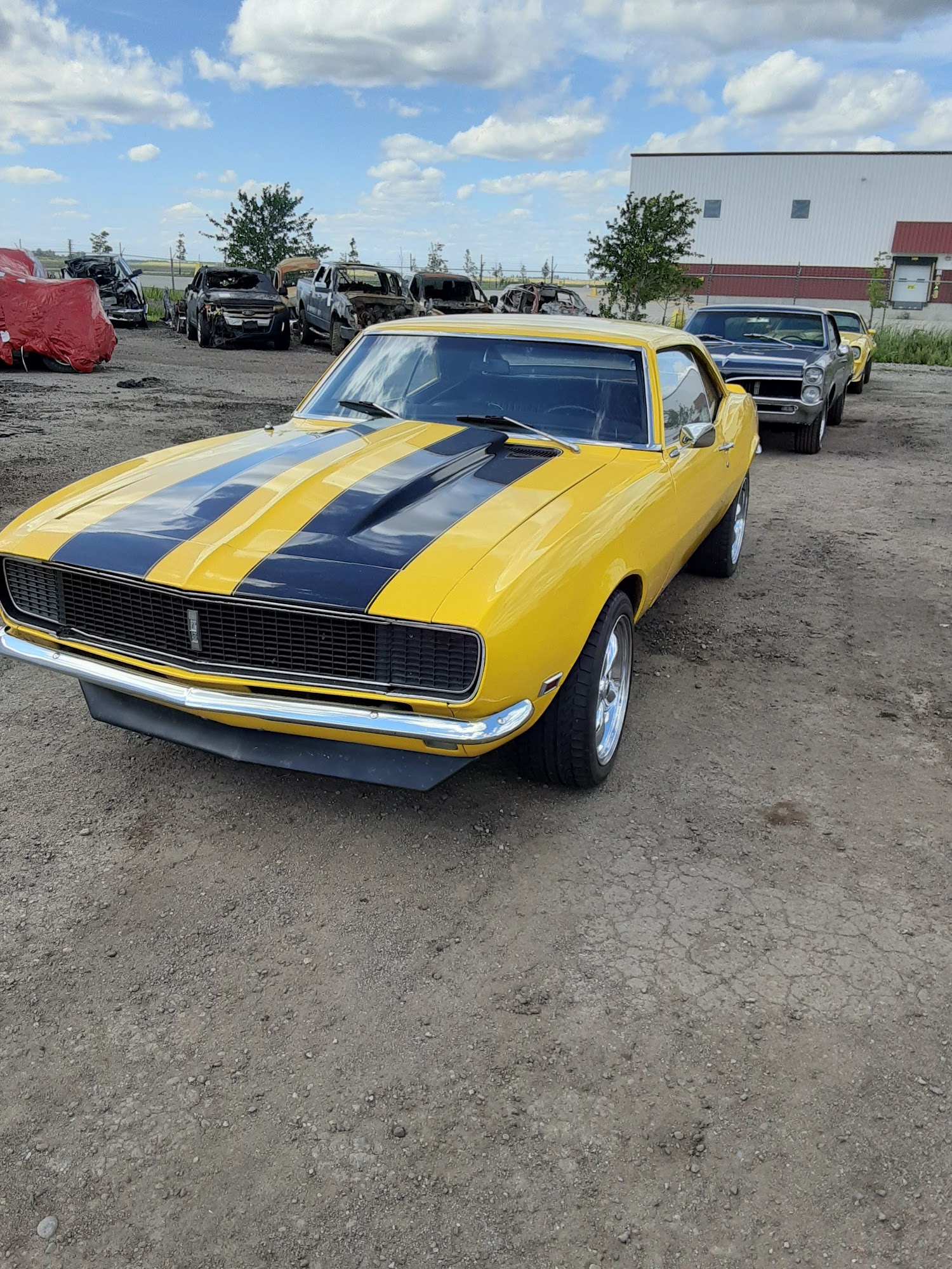 IAA FARGO - 4401 37th St N, Fargo ND - Hours, Directions, Reviews ...