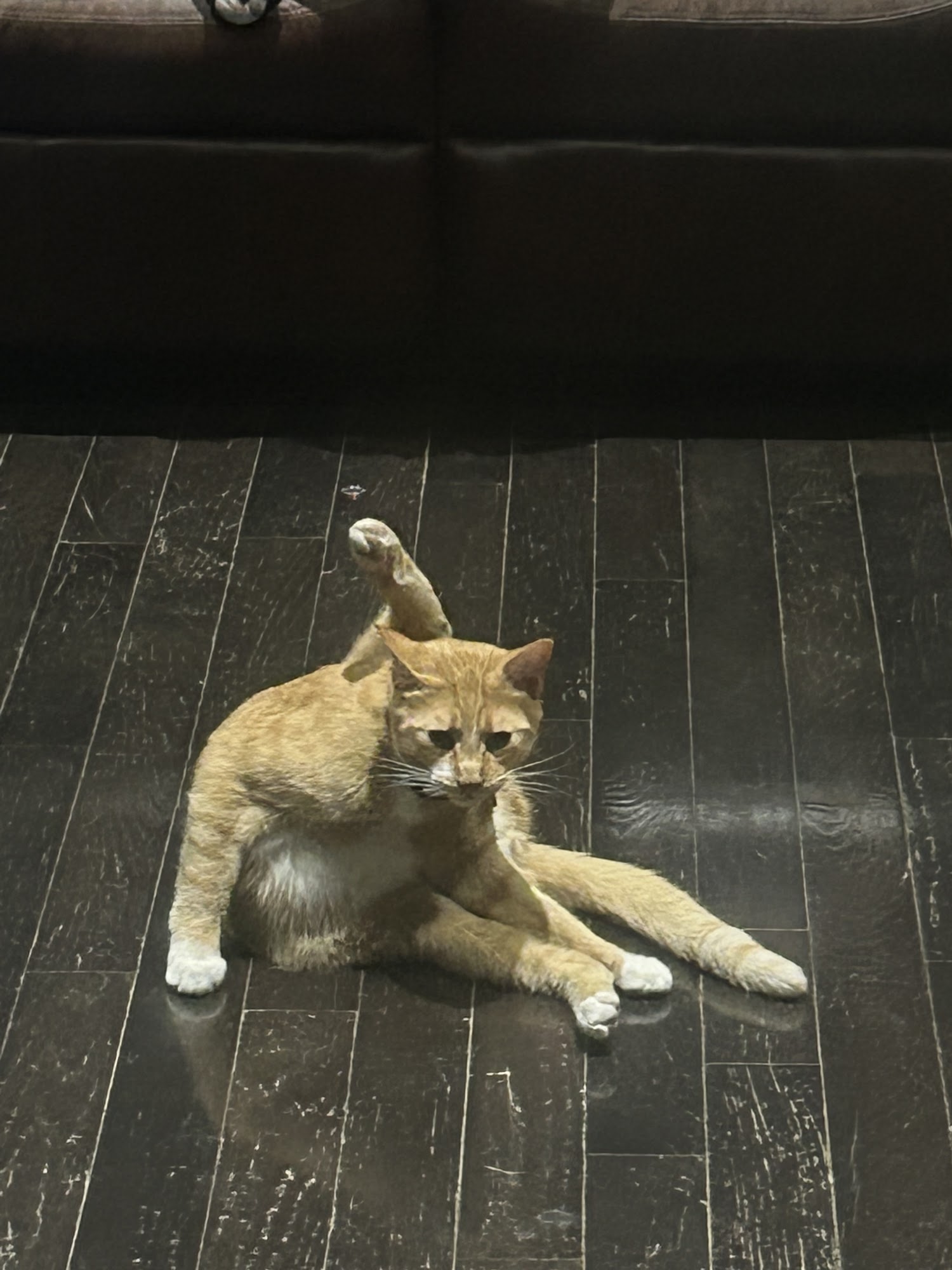 PETS R' INN - Grand Forks ND - Hours, Directions, Reviews - Loc8NearMe