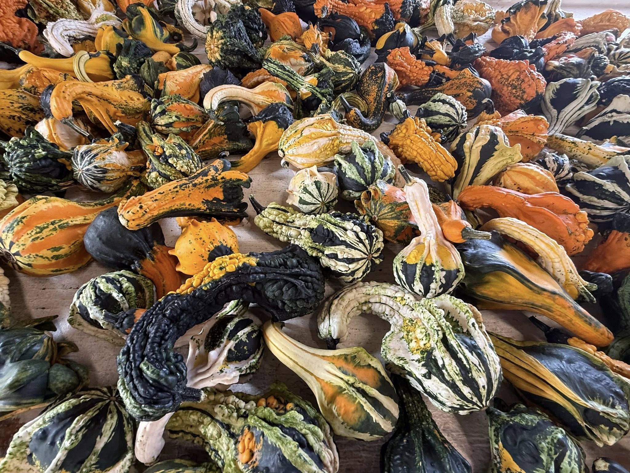 BILL AND LIN'S NURSERY - Williamstown NJ - Hours, Directions, Reviews ...