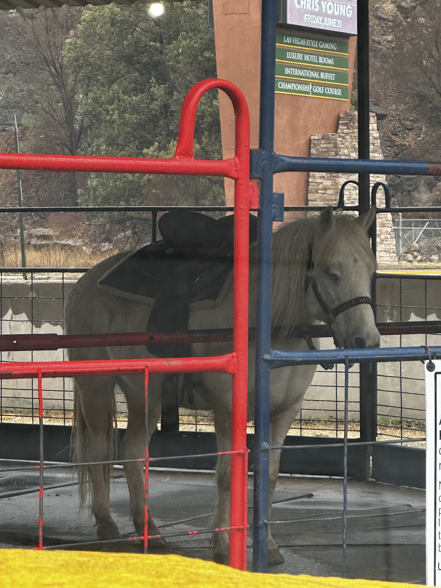 THE PONY RING - Ruidoso NM - Hours, Directions, Reviews - Loc8NearMe