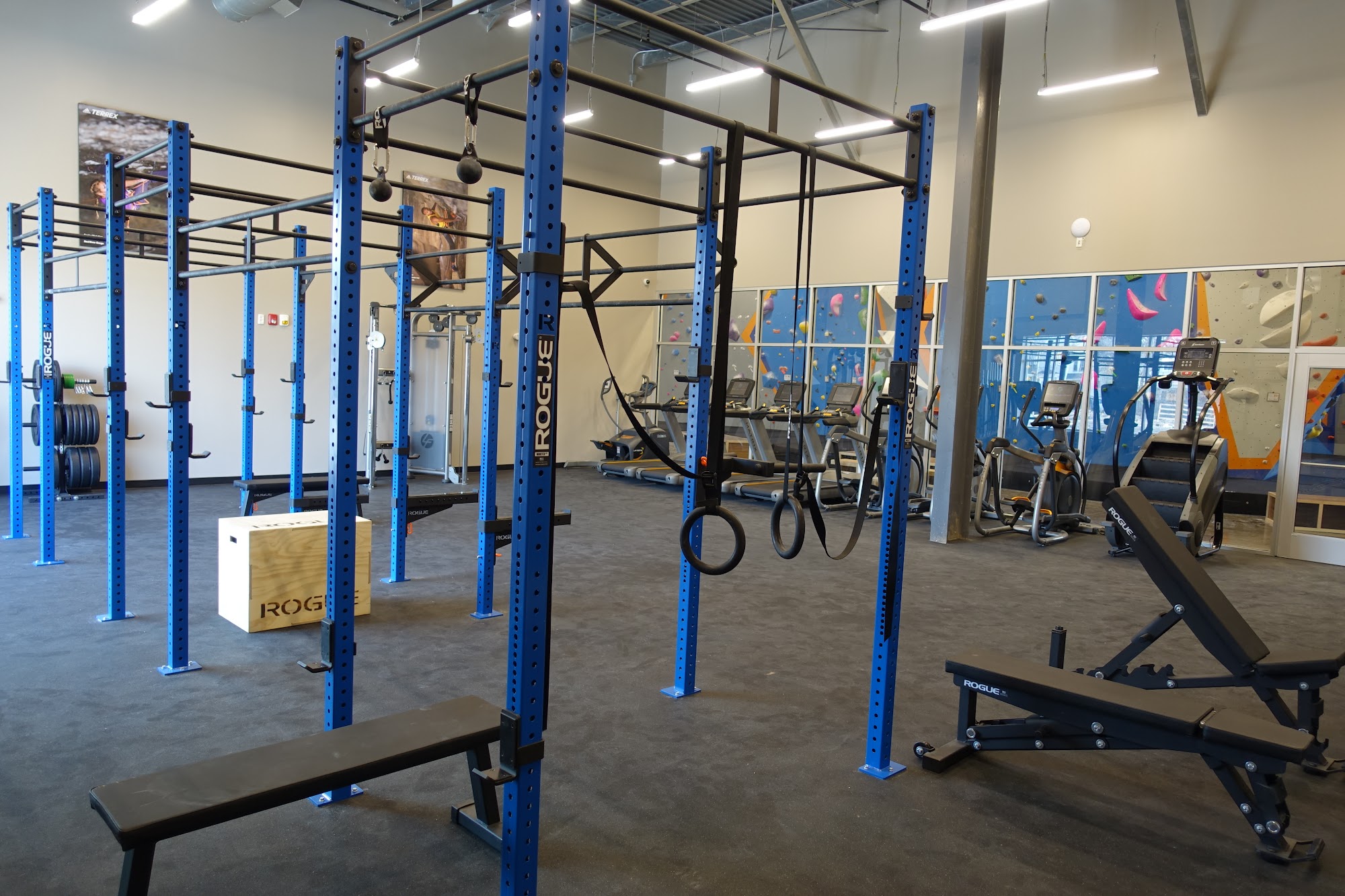 CENTRAL ROCK GYM - Rochester NY - Hours, Directions, Reviews - Loc8NearMe