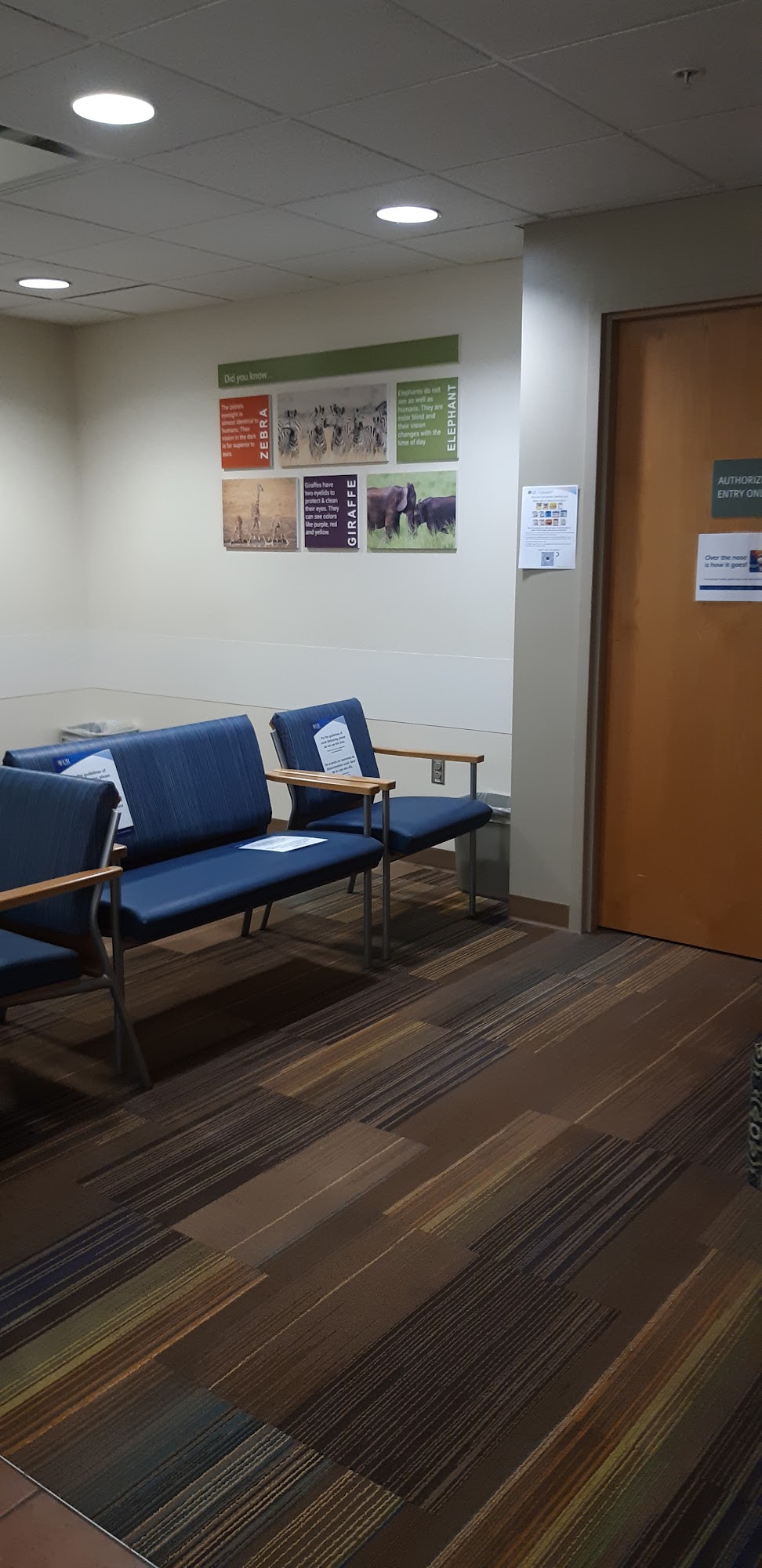 DAVID AND ILENE FLAUM EYE INSTITUTE - Rochester NY - Hours, Directions ...