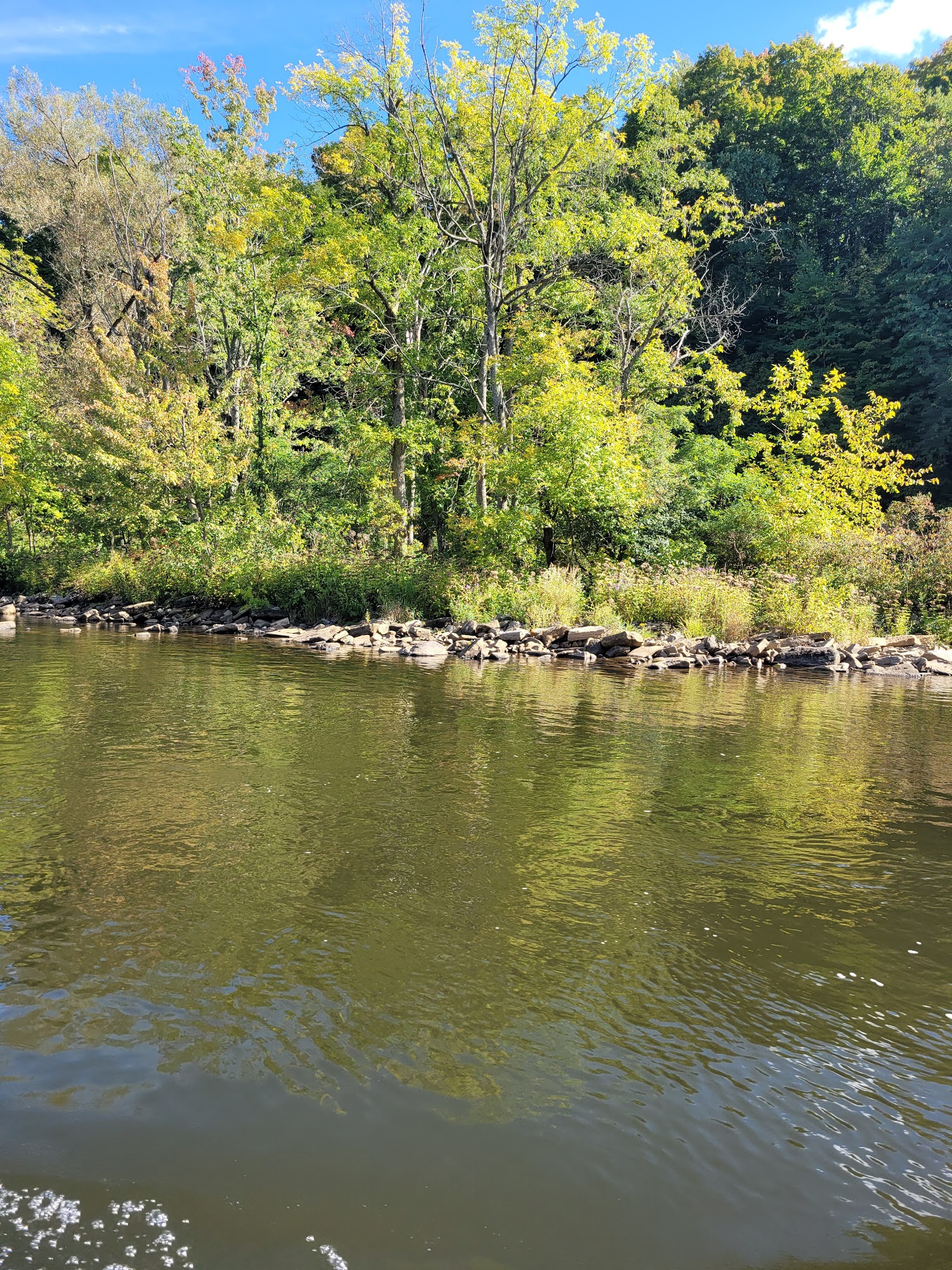 ELIZABETH WENDE BREAST CARE, LLC - Rochester NY - Hours, Directions ...