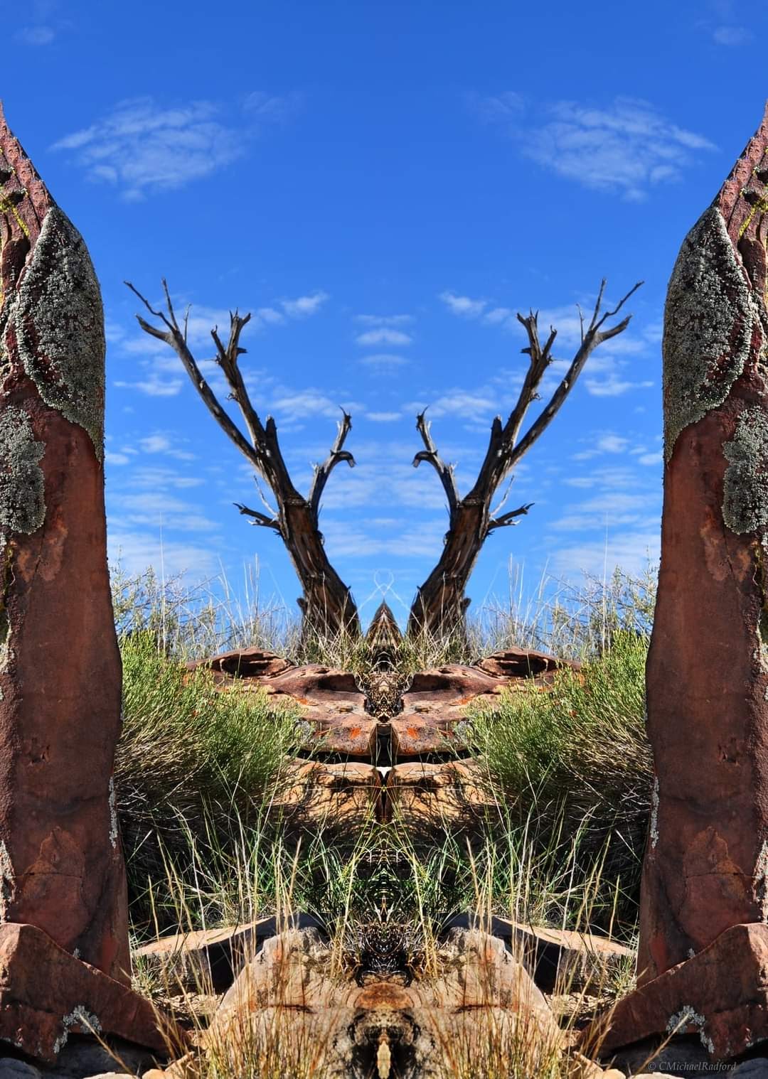 PROSCAN IMAGING EASTGATE - Cincinnati OH - Hours, Directions, Reviews ...