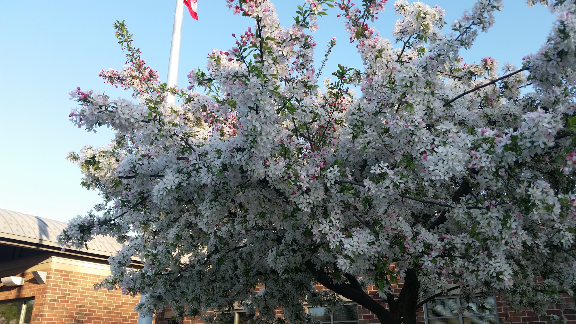 SOLON COMMUNITY CENTER - Solon OH - Hours, Directions, Reviews - Loc8NearMe