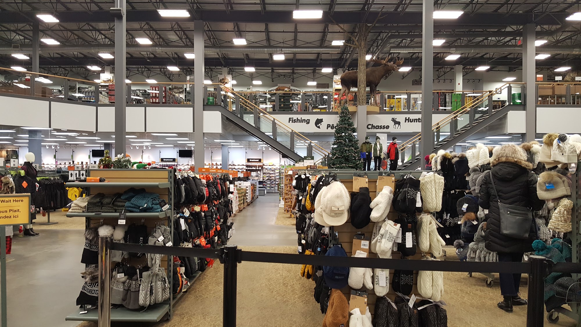 SAIL - Ottawa ON - Hours, Directions, Reviews - Loc8NearMe