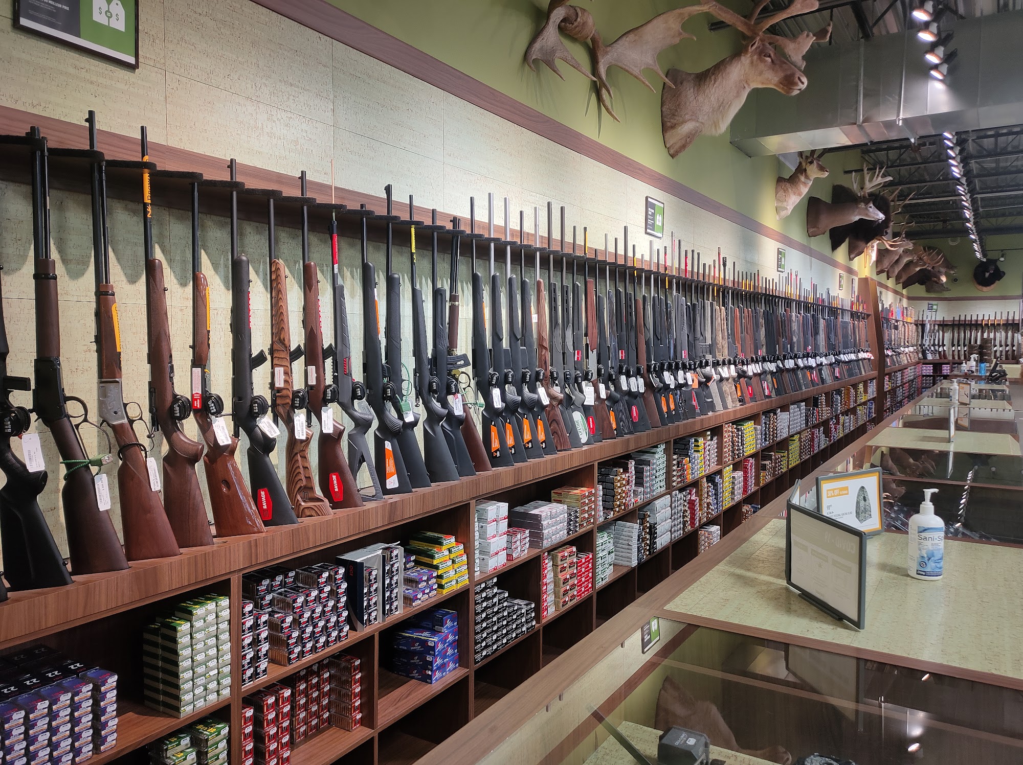 SAIL - Ottawa ON - Hours, Directions, Reviews - Loc8NearMe