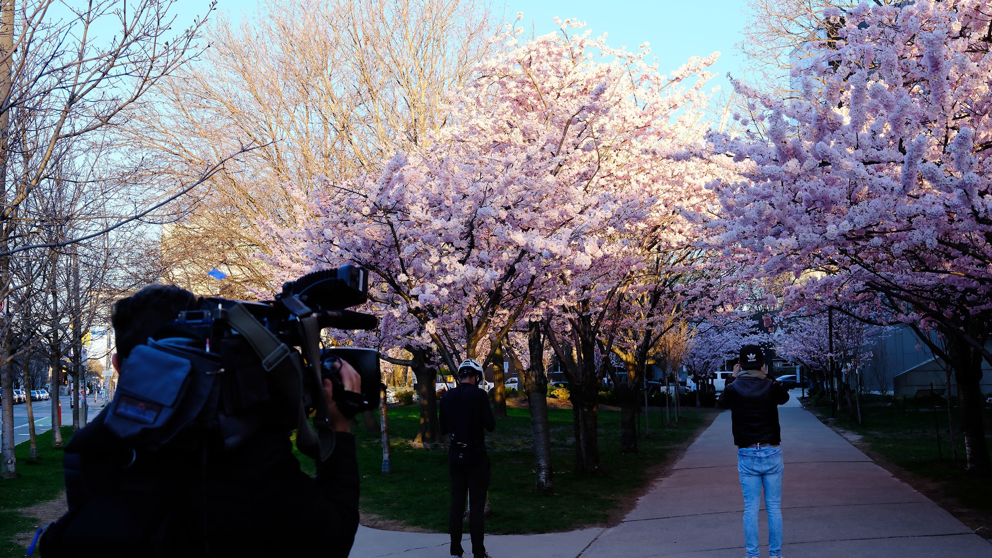 ROBARTS COMMONS - Toronto ON - Hours, Directions, Reviews - Loc8NearMe