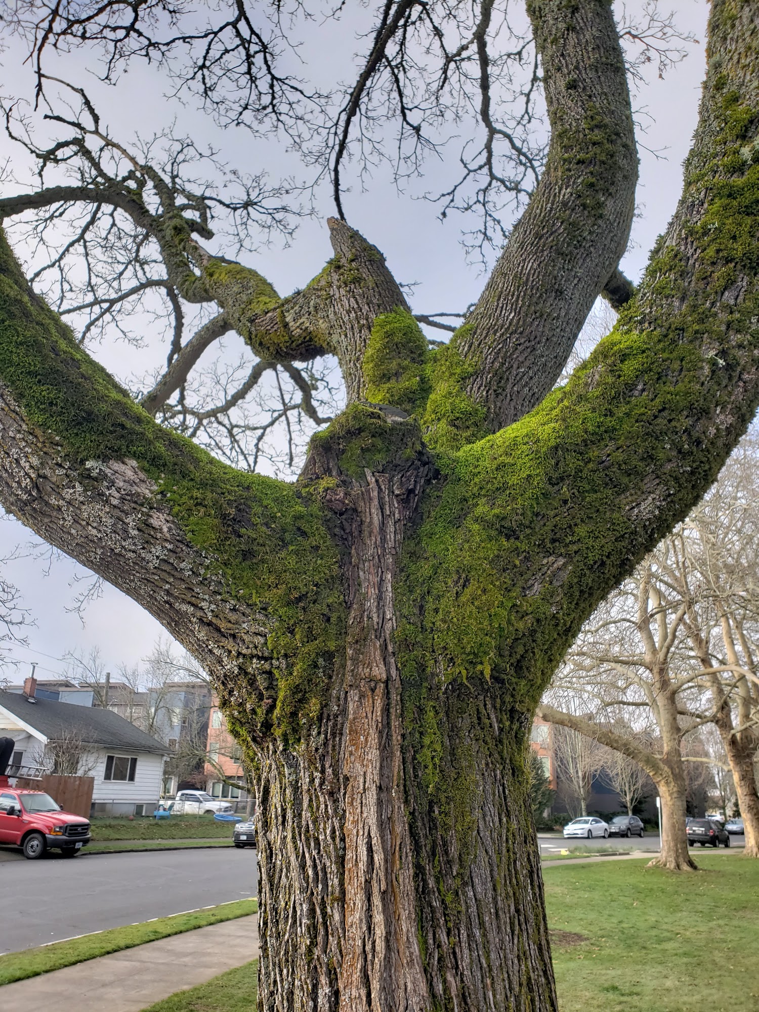 ST JOHNS COMMUNITY CENTER - Portland OR - Hours, Directions, Reviews ...