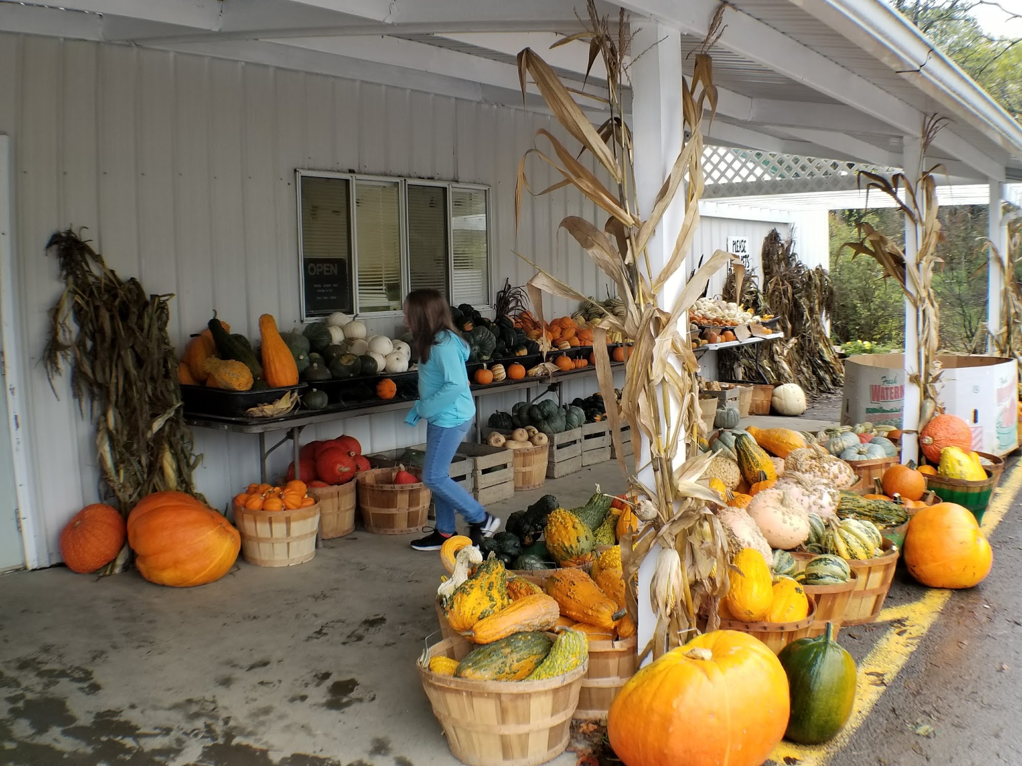 AMBROSE FARM MARKET - Cabot PA - Hours, Directions, Reviews - Loc8NearMe