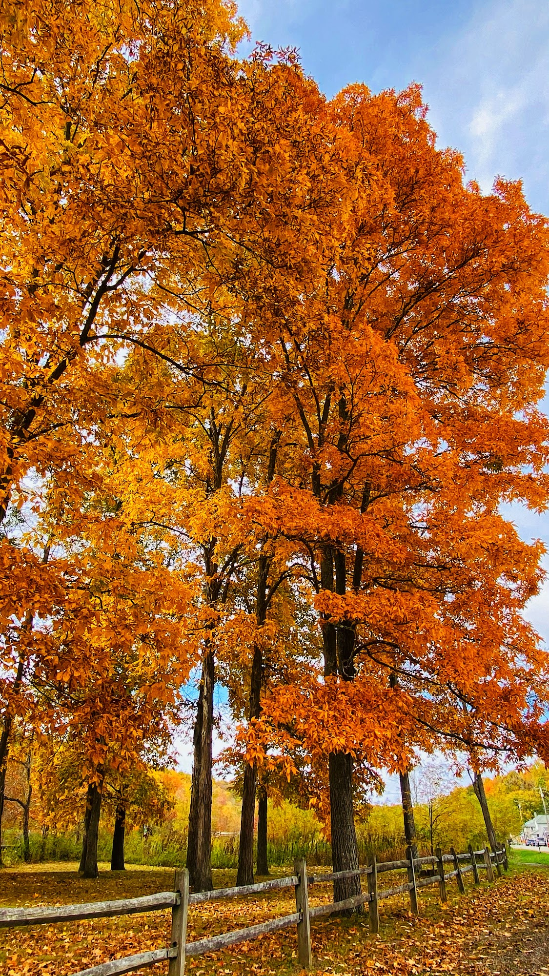 G & D MARKET - Melcroft PA - Hours, Directions, Reviews - Loc8NearMe