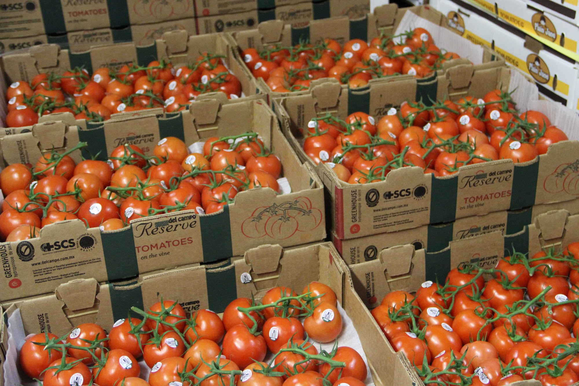 SUNFRESH FOOD SERVICE, INC. - Pittsburgh PA - Hours, Directions ...