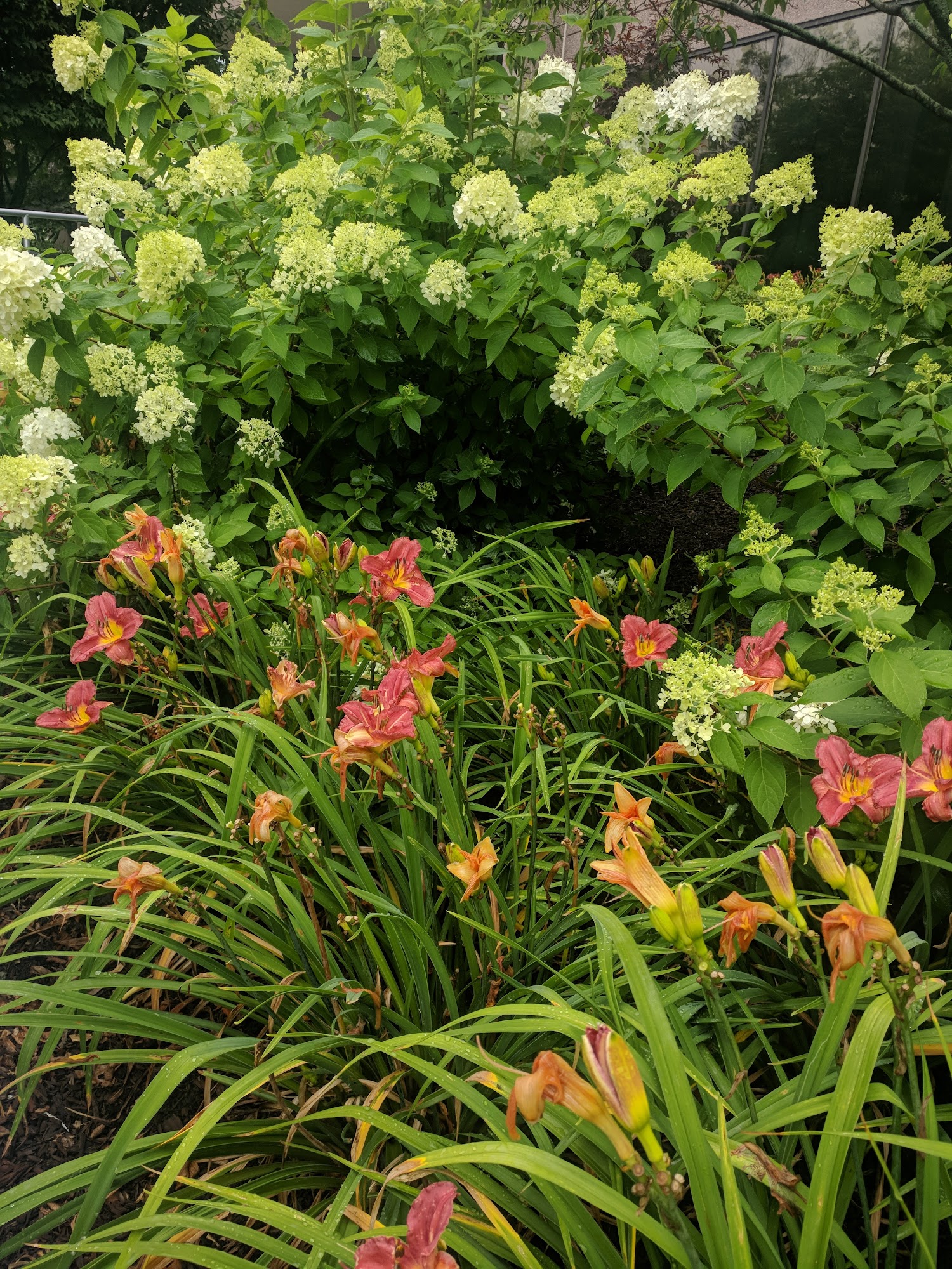 CVS HEALTH CORPORATE HEADQUARTERS - Woonsocket RI - Hours, Directions ...